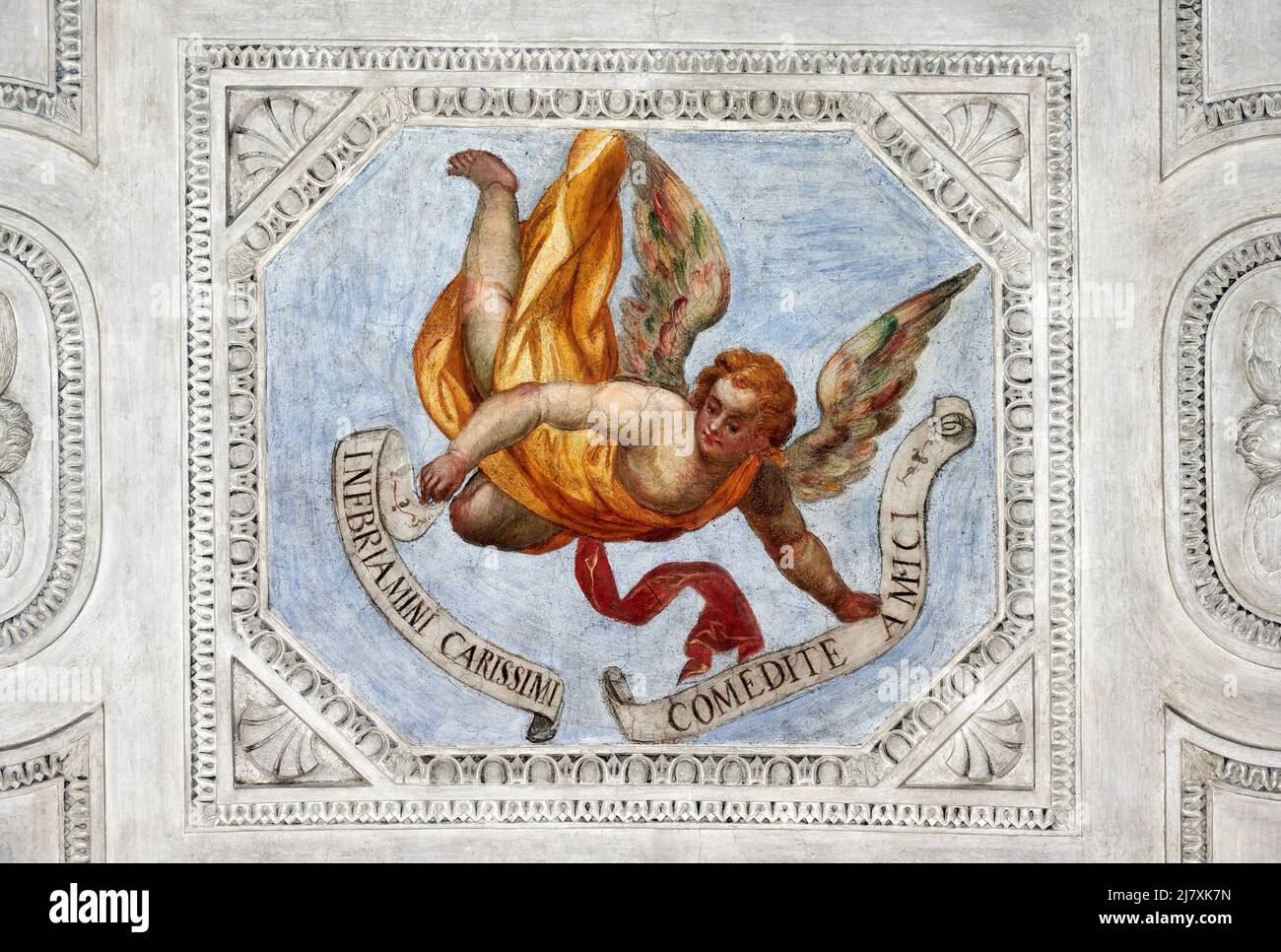 Angelo con cartiglio - affresco - Grazio Cossali - XVII secolo ...