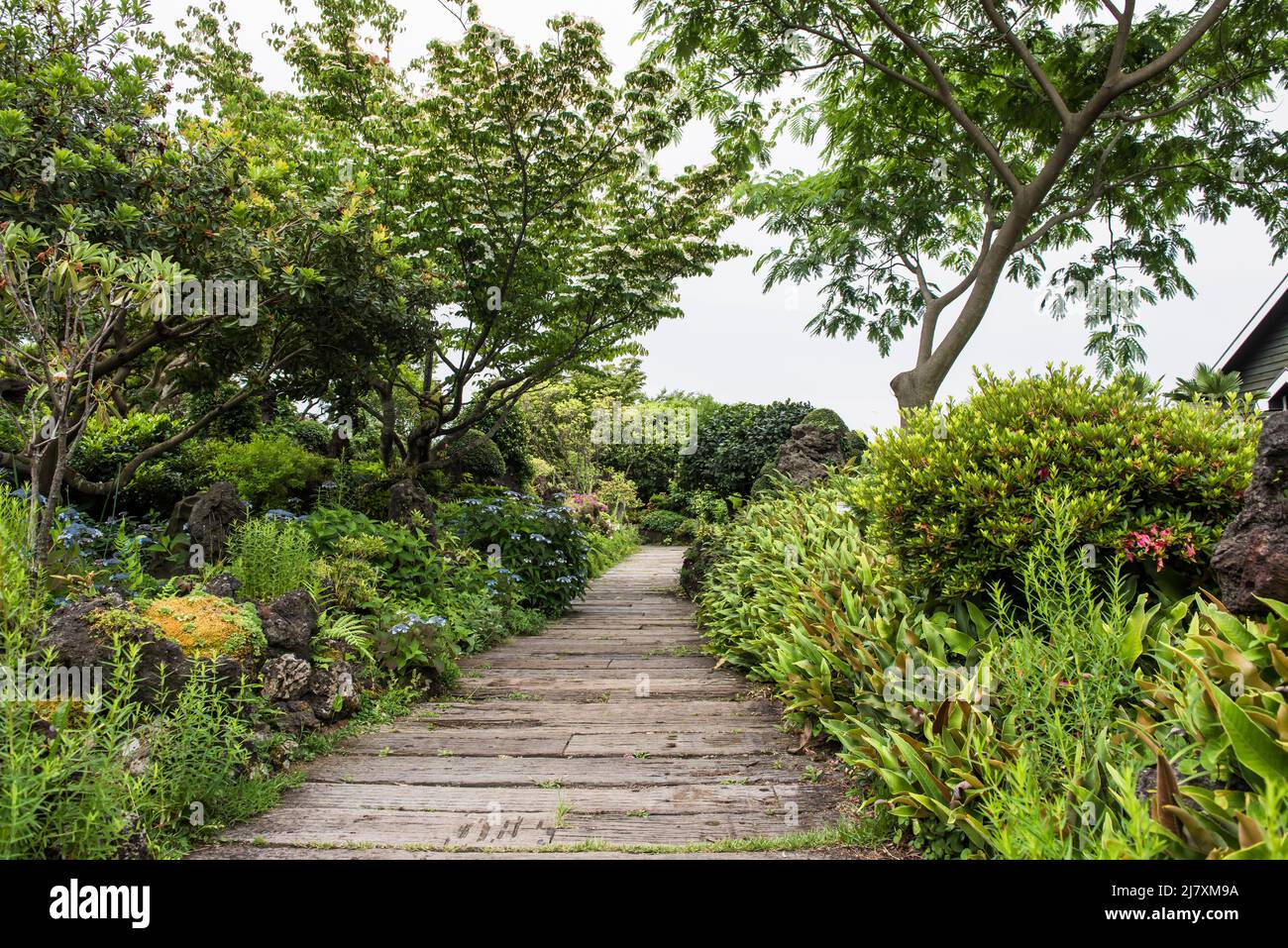 The beautiful garden,forest,tree and flowers Stock Photo - Alamy