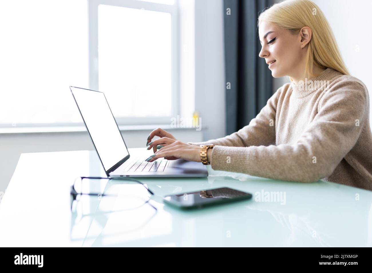 An attractive businesswoman working on laptop in her workstation Stock ...
