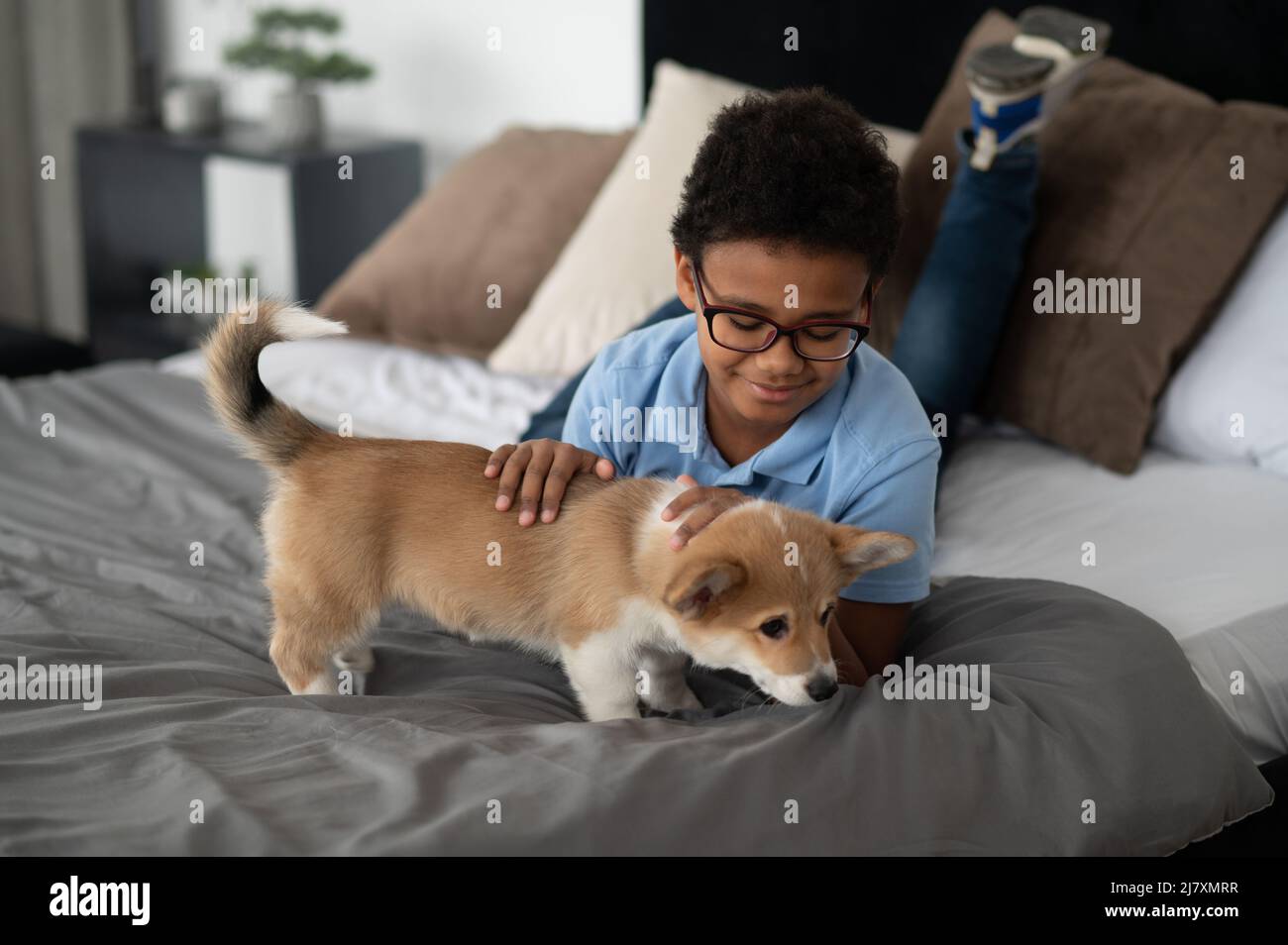 Smiling boy playing with a puppy and looking happy Stock Photo - Alamy