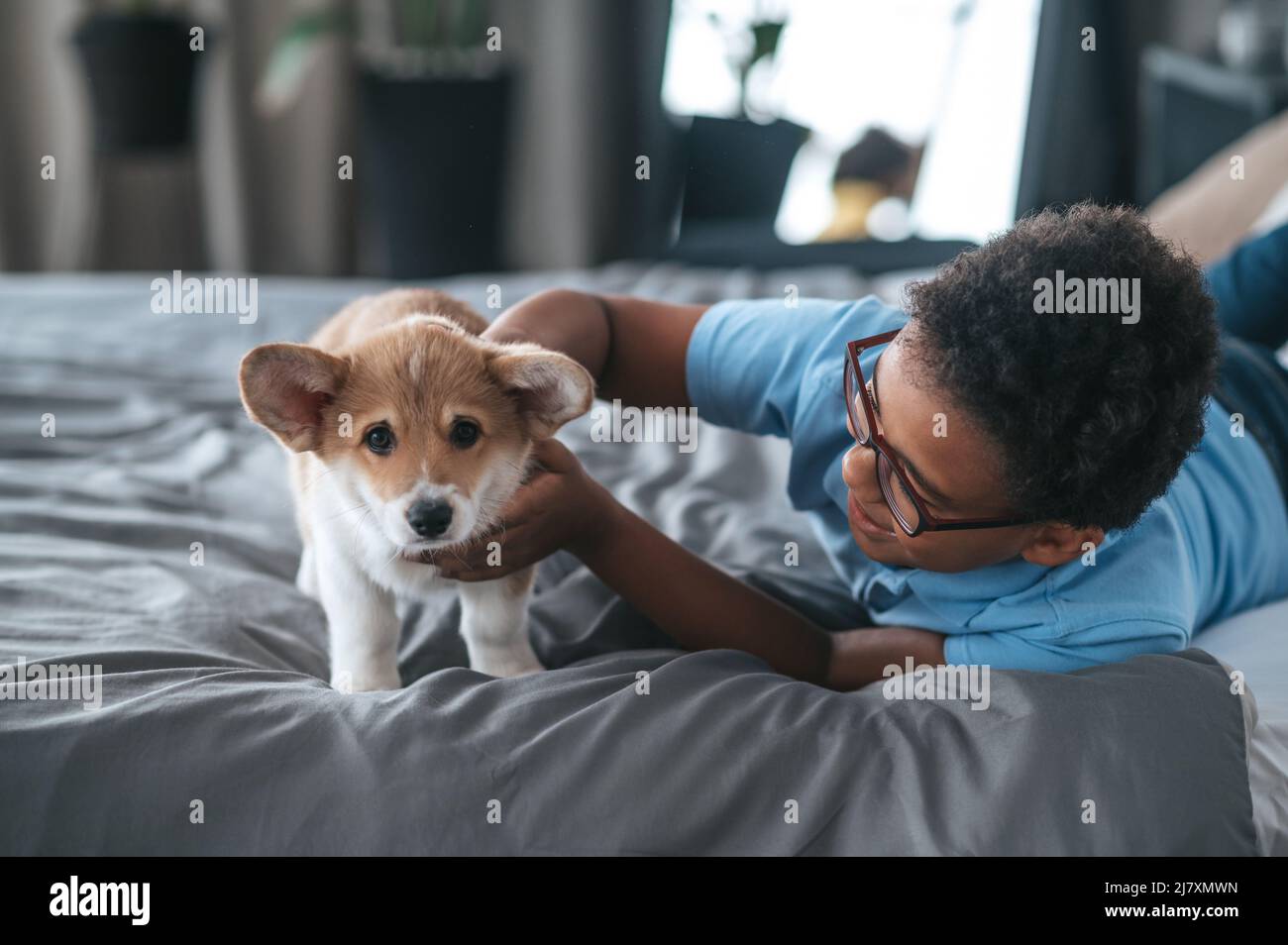 Smiling boy playing with a puppy and looking happy Stock Photo - Alamy