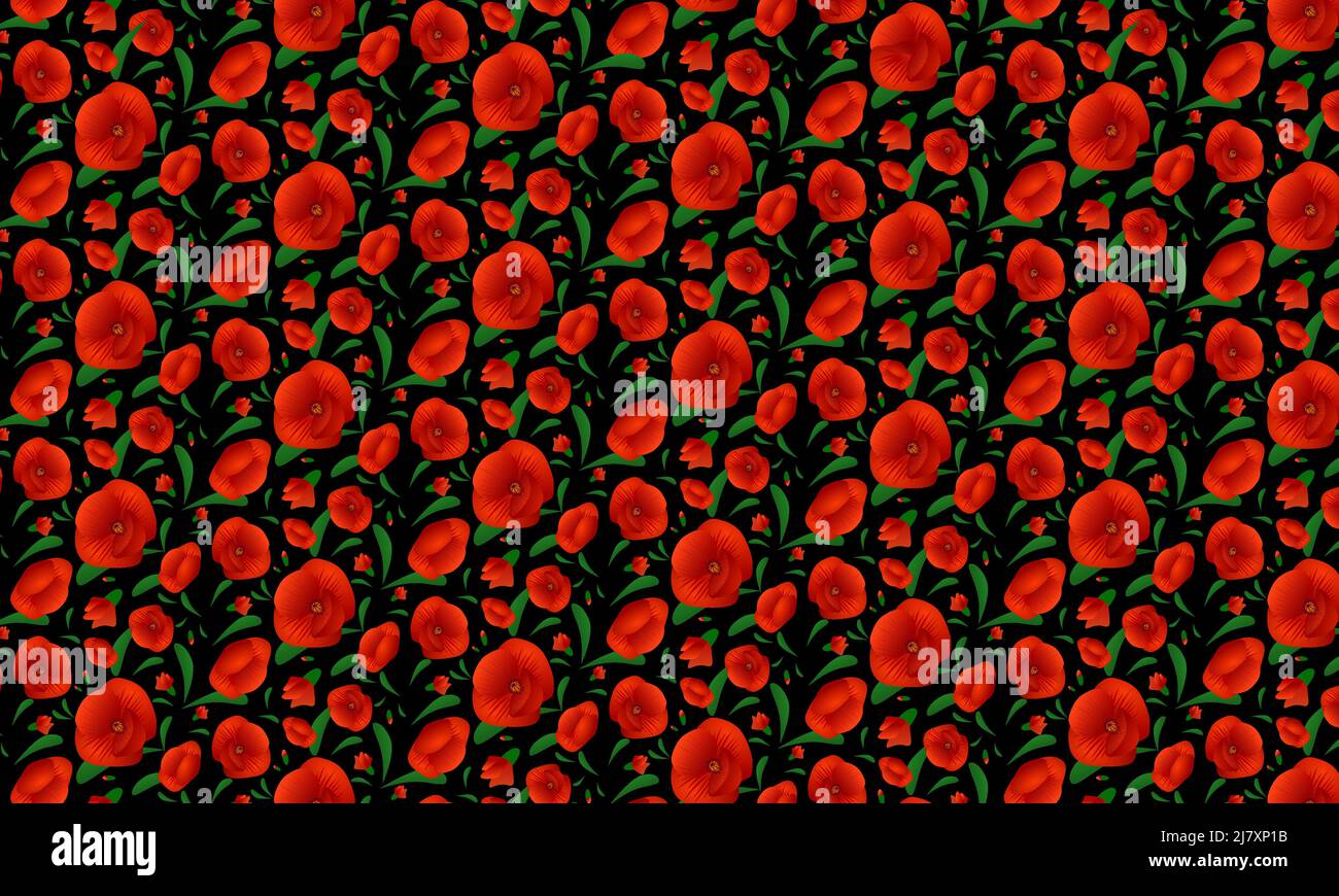 Red poppy on a black background, bright pattern contrast color, flower ...