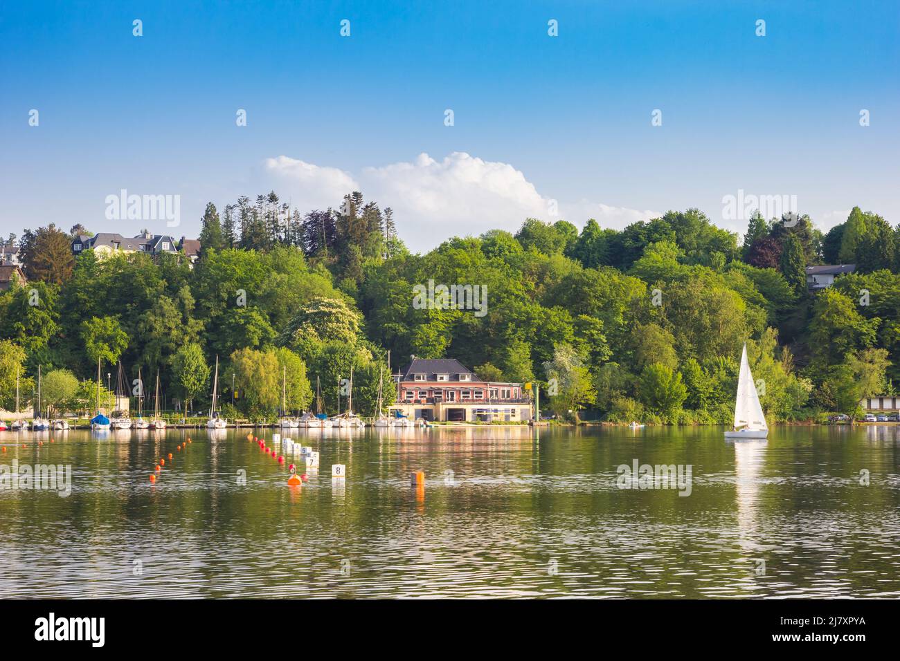 Sailing boat at the river Ruhr in the Baldeney lake near Essen, Germany ...