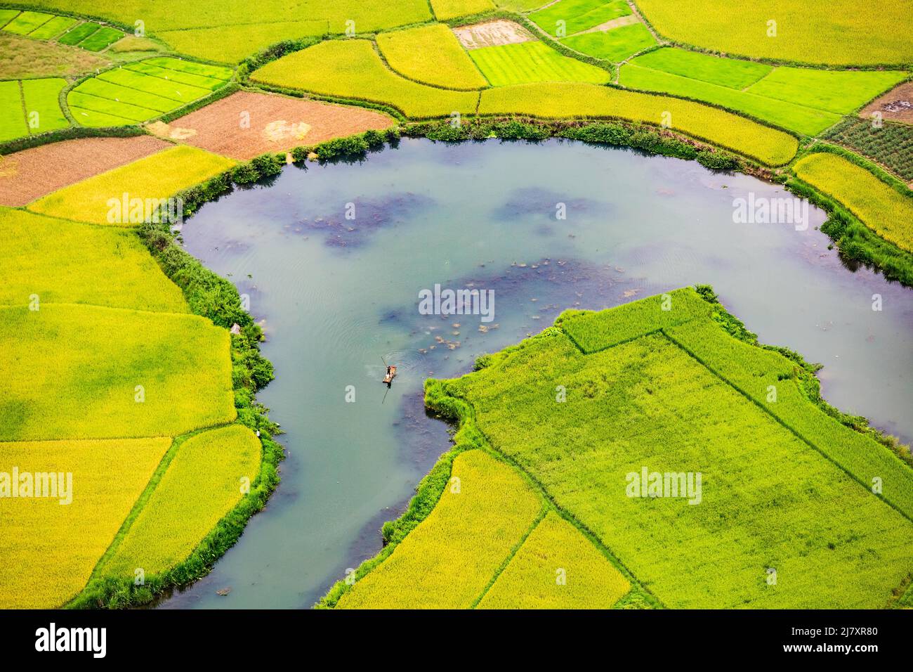 Peaceful and colorful rice fields with a river Stock Photo - Alamy