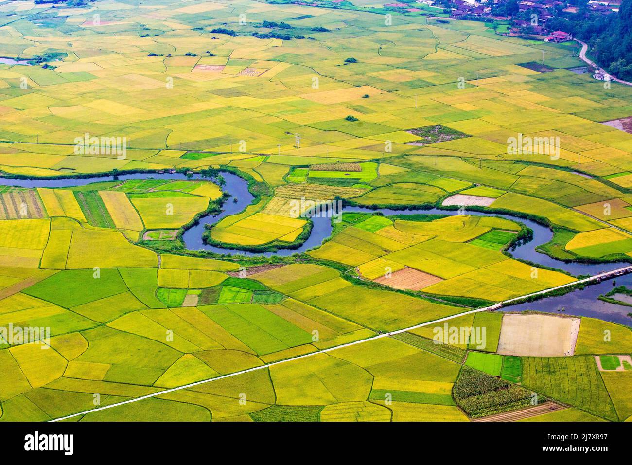 Peaceful and colorful rice fields with a river Stock Photo - Alamy