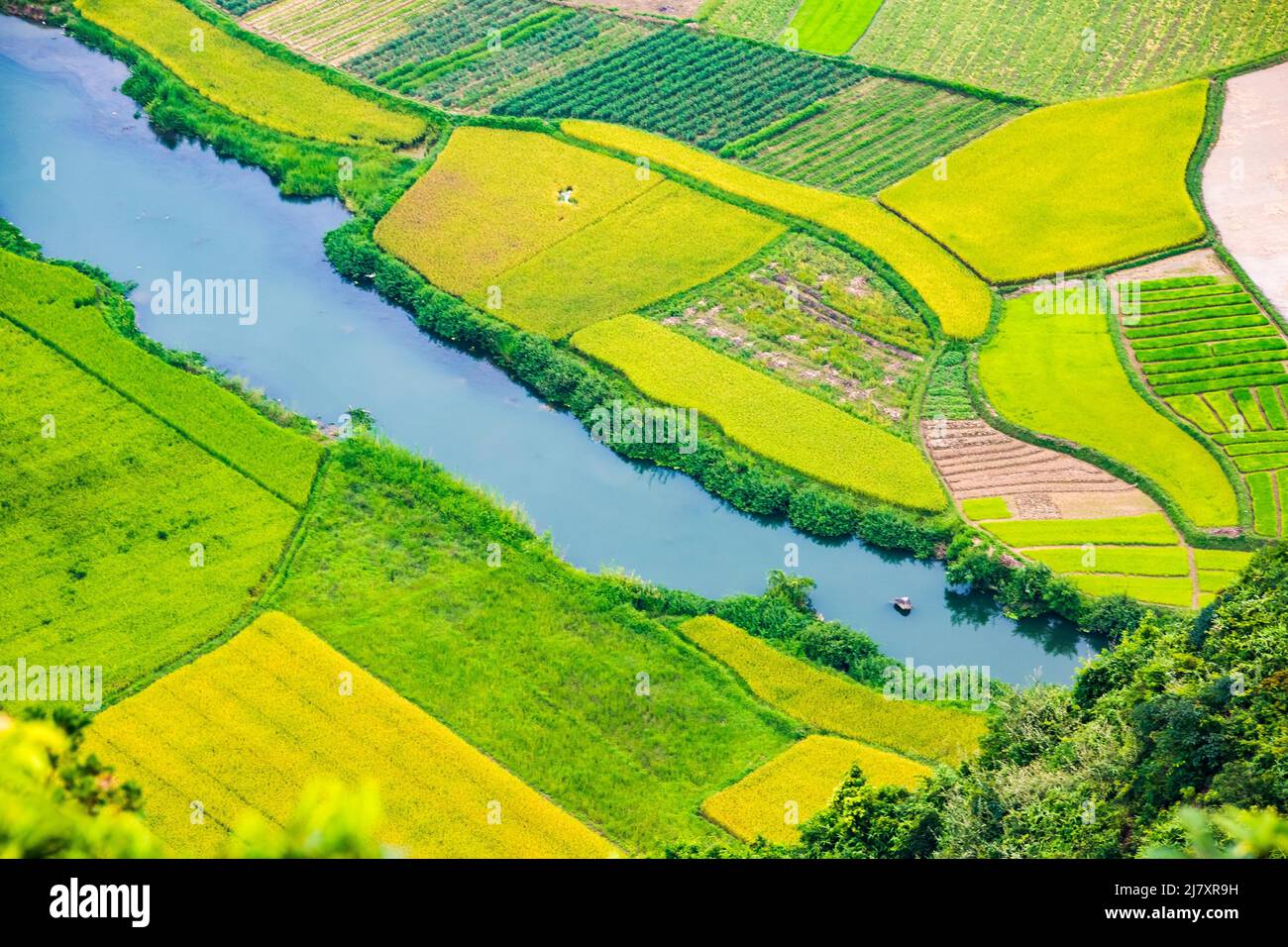 Peaceful and colorful rice fields with a river Stock Photo - Alamy