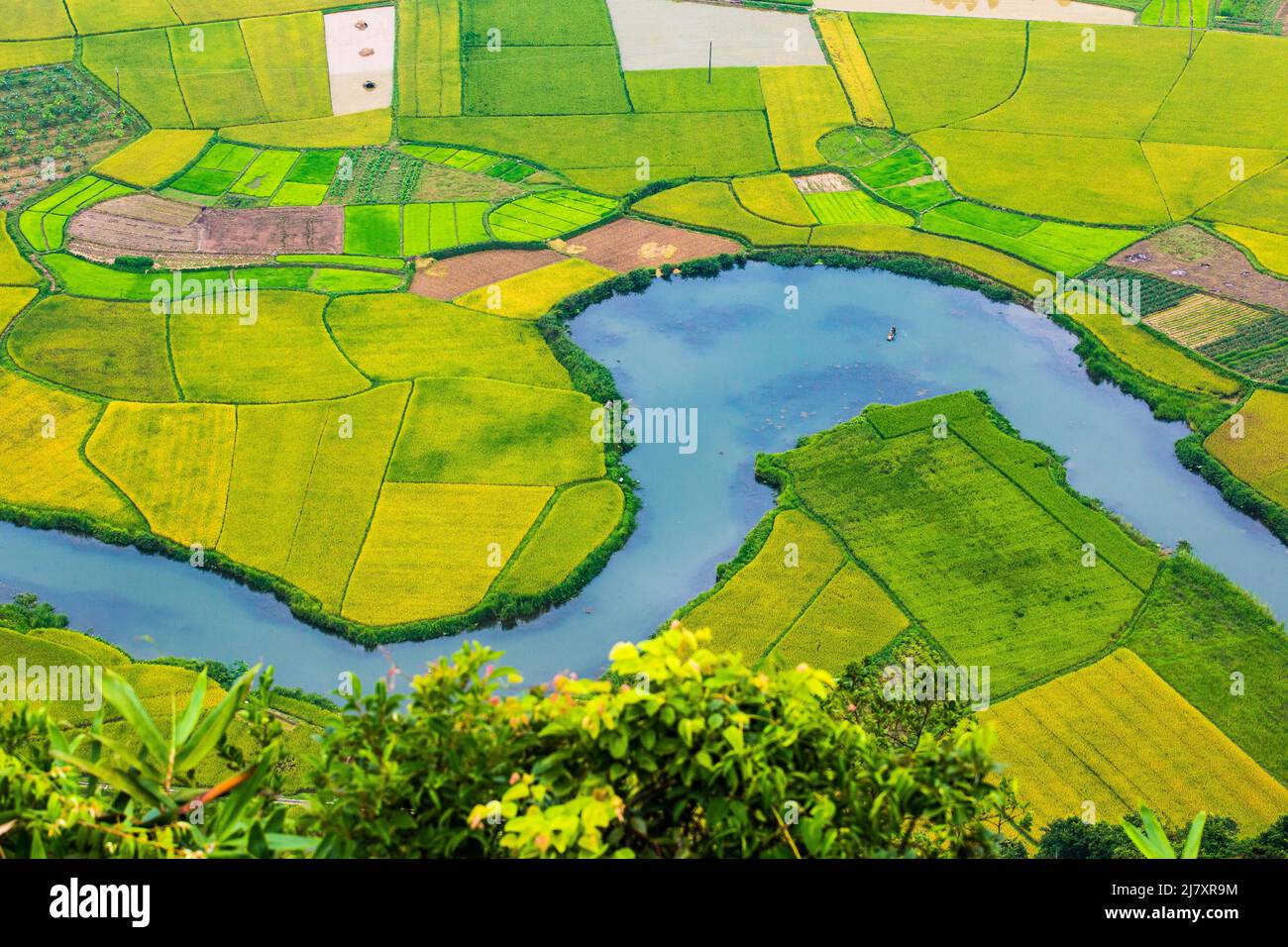 Peaceful and colorful rice fields with a river Stock Photo - Alamy