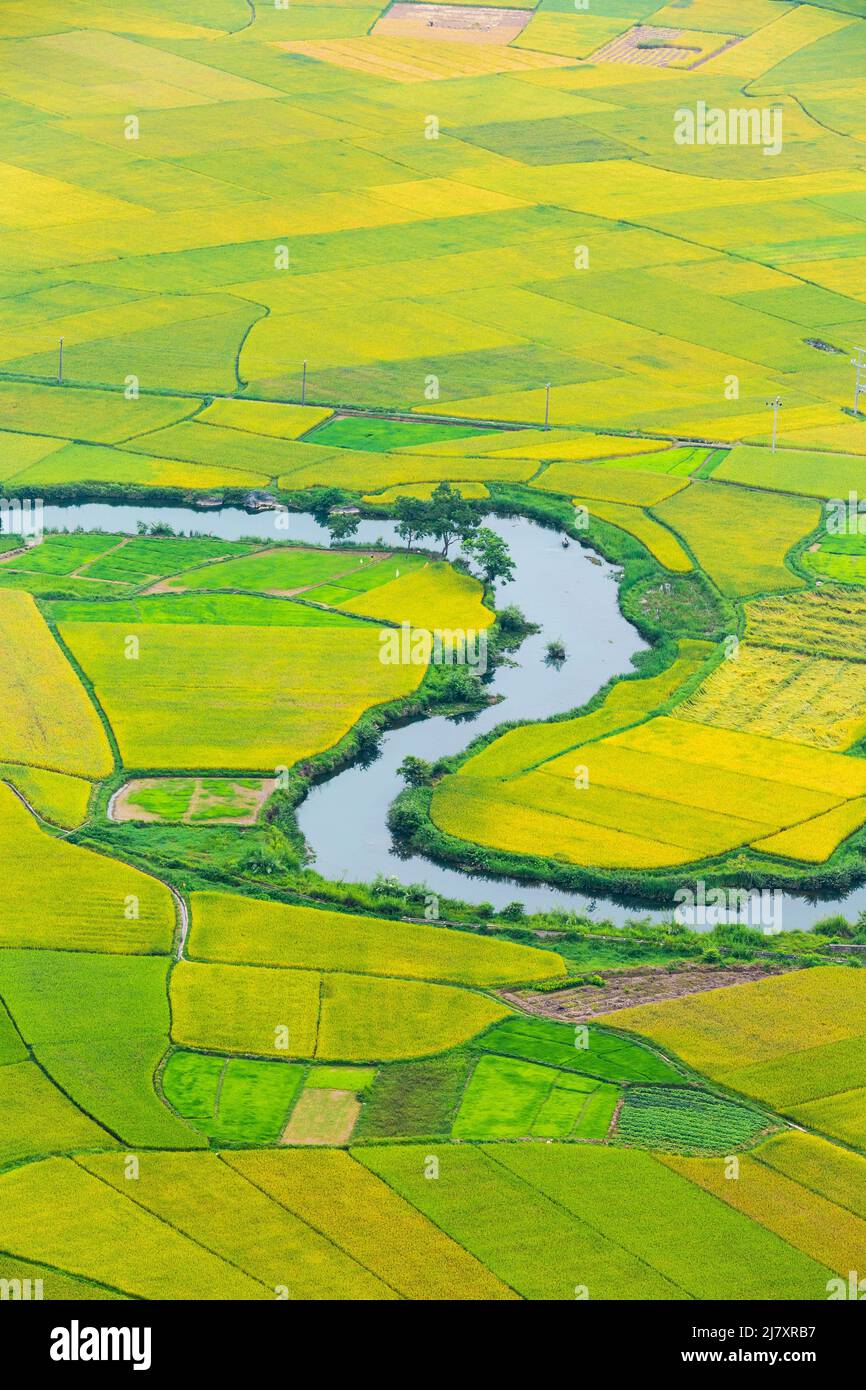 Peaceful and colorful rice fields with a river Stock Photo - Alamy
