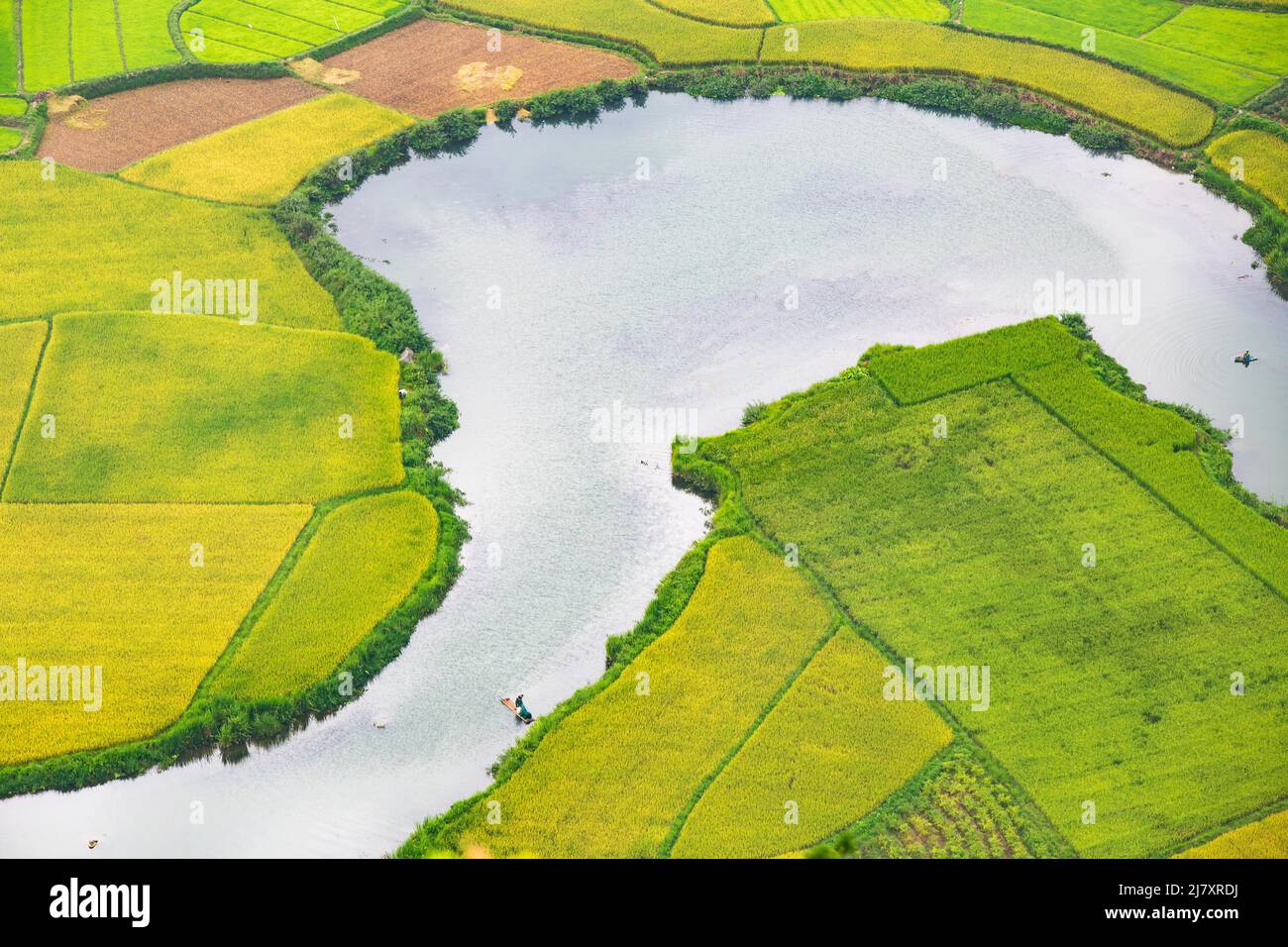 Peaceful and colorful rice fields with a river Stock Photo - Alamy