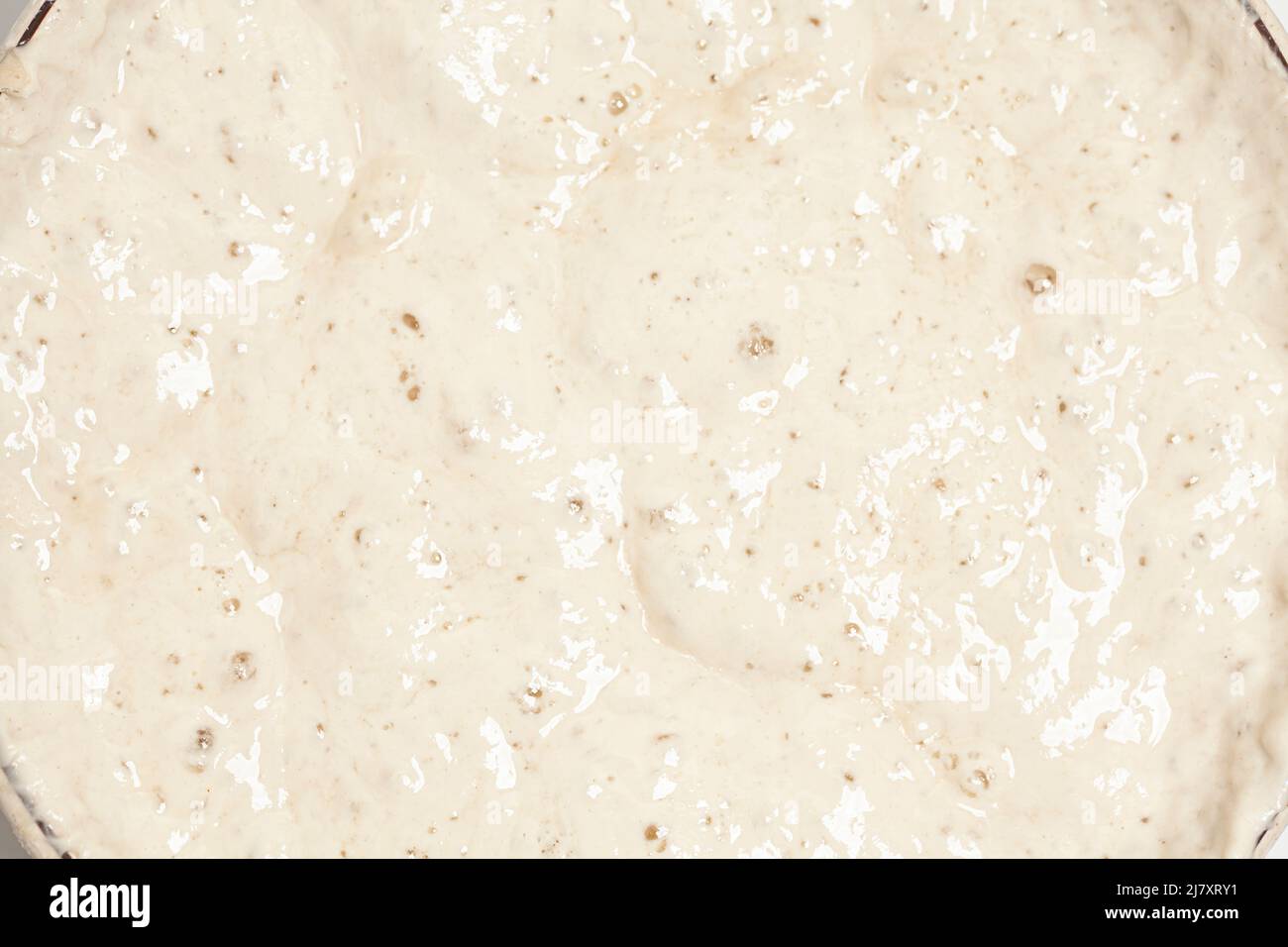 Homemade wheat sourdough for bread baking ,organic yeast for dough ...