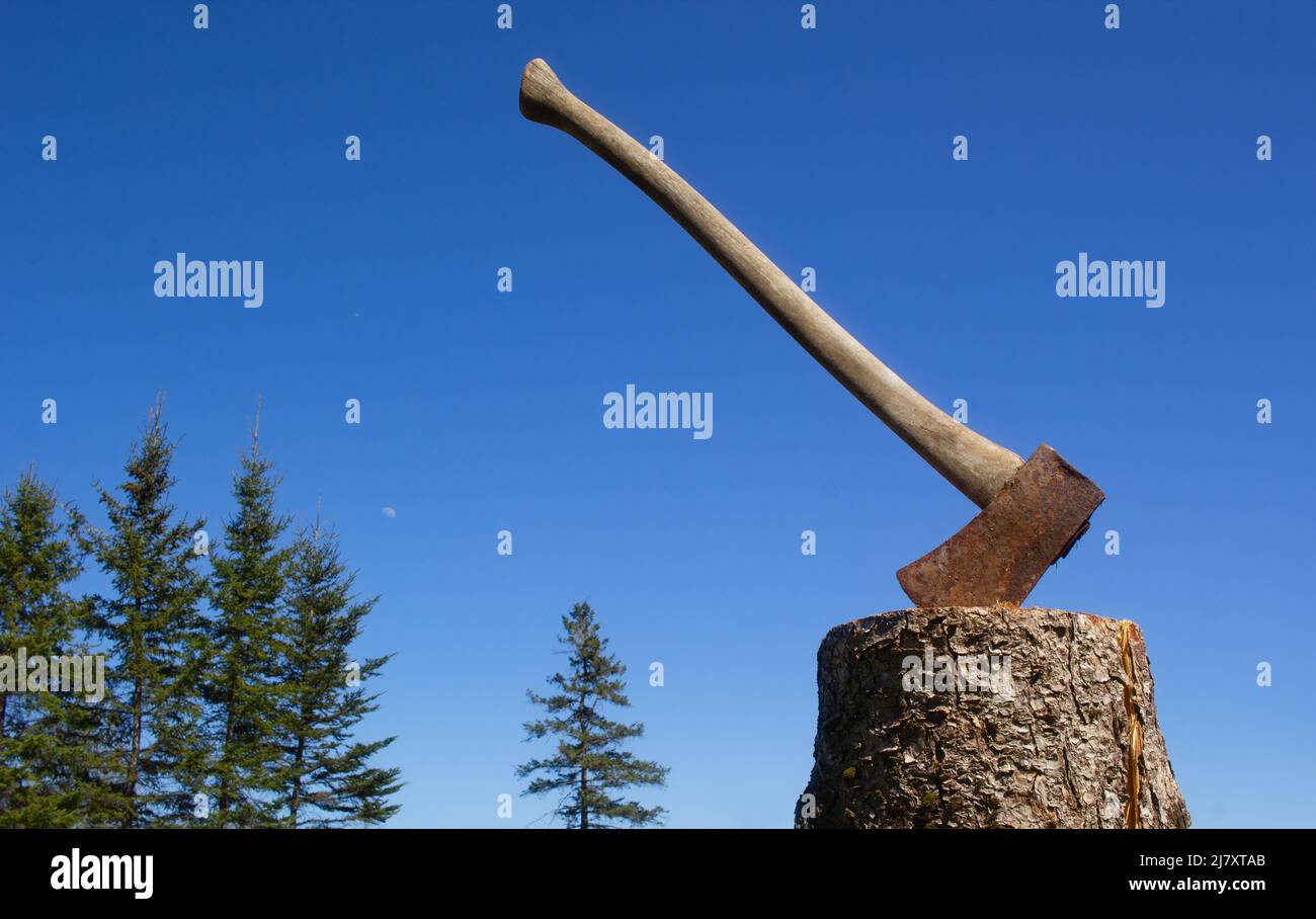 Axe in the stump hi-res stock photography and images - Alamy