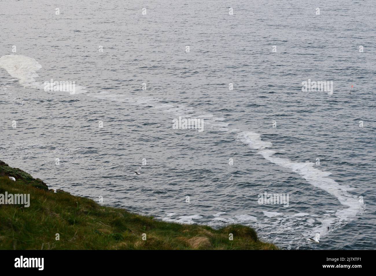 Maratine pollution hi-res stock photography and images - Alamy