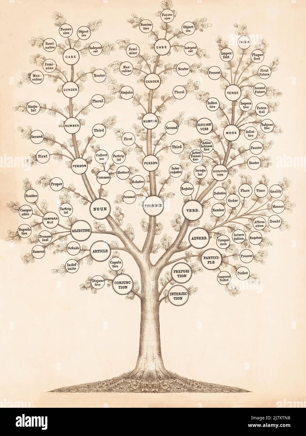 Japanese grammar hi-res stock photography and images - Alamy