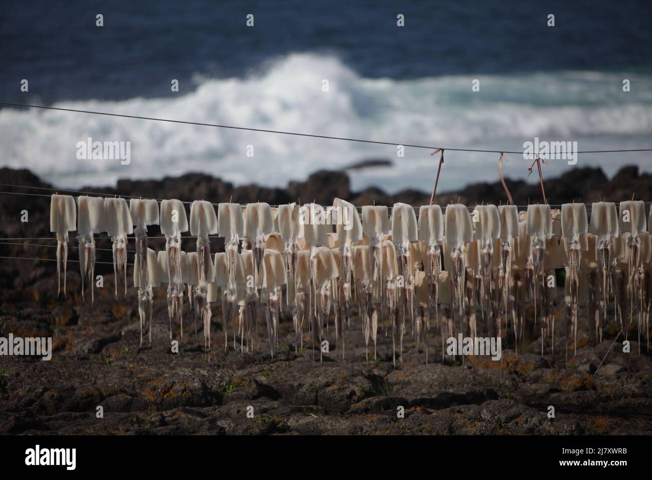 winter sea squid statue Stock Photo - Alamy