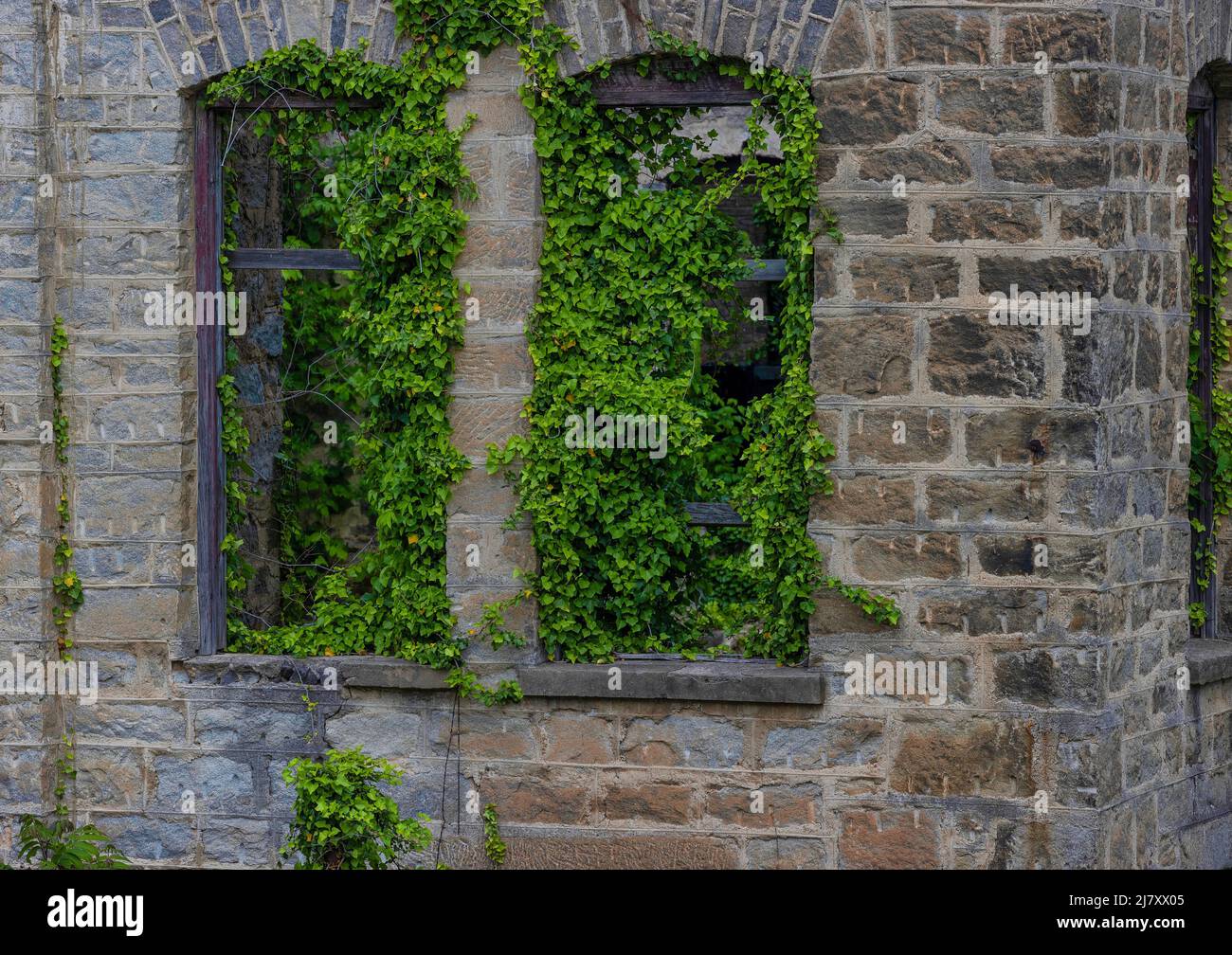 Gutted building structure hi-res stock photography and images - Alamy