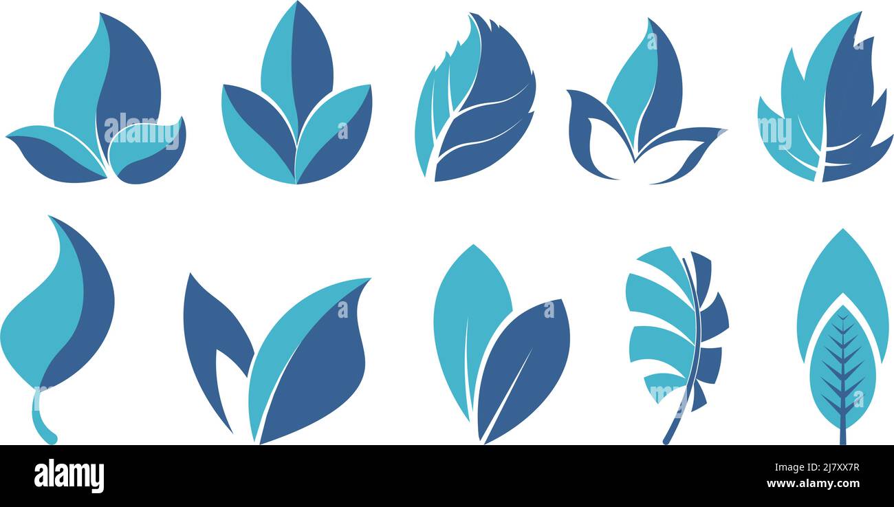 Foliage and leafage, leaves of plants, flowers and shrubs. Decorative ...