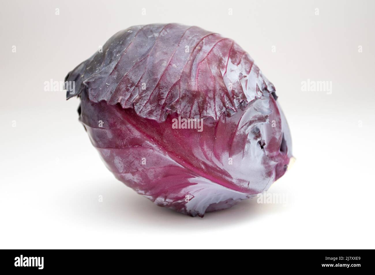 Whole purple cabbage on white background Stock Photo - Alamy