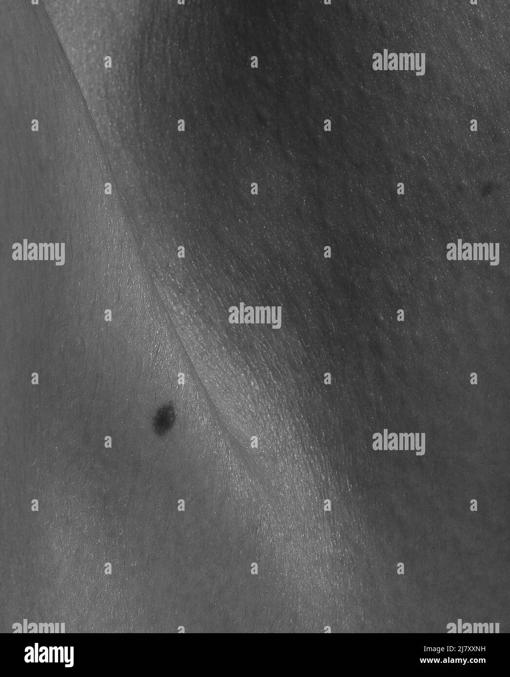 Collarbone Detailed Texture Of Female Skin Close Up Part Of Womans