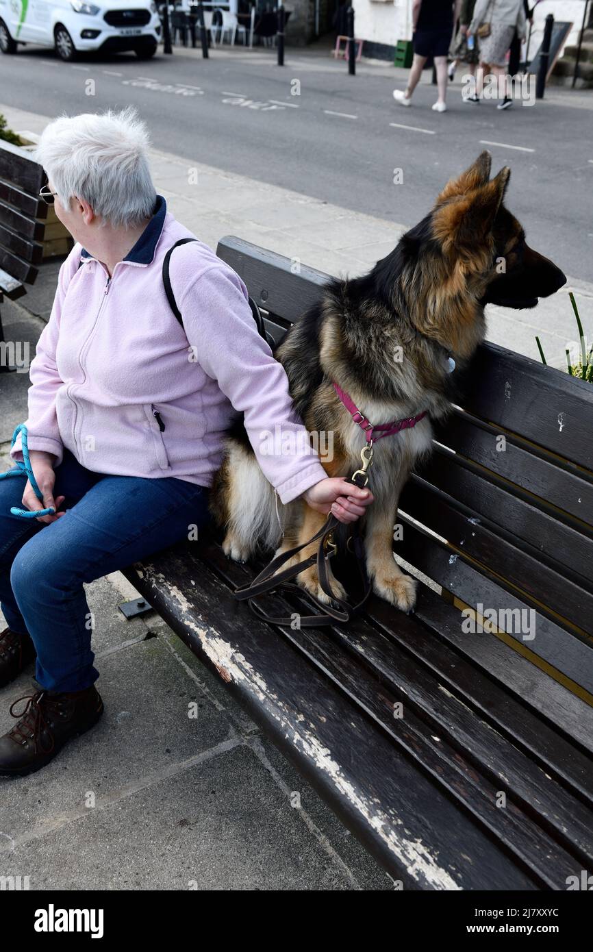Dog like Owner St Ives Cornwall England uk Stock Photo - Alamy