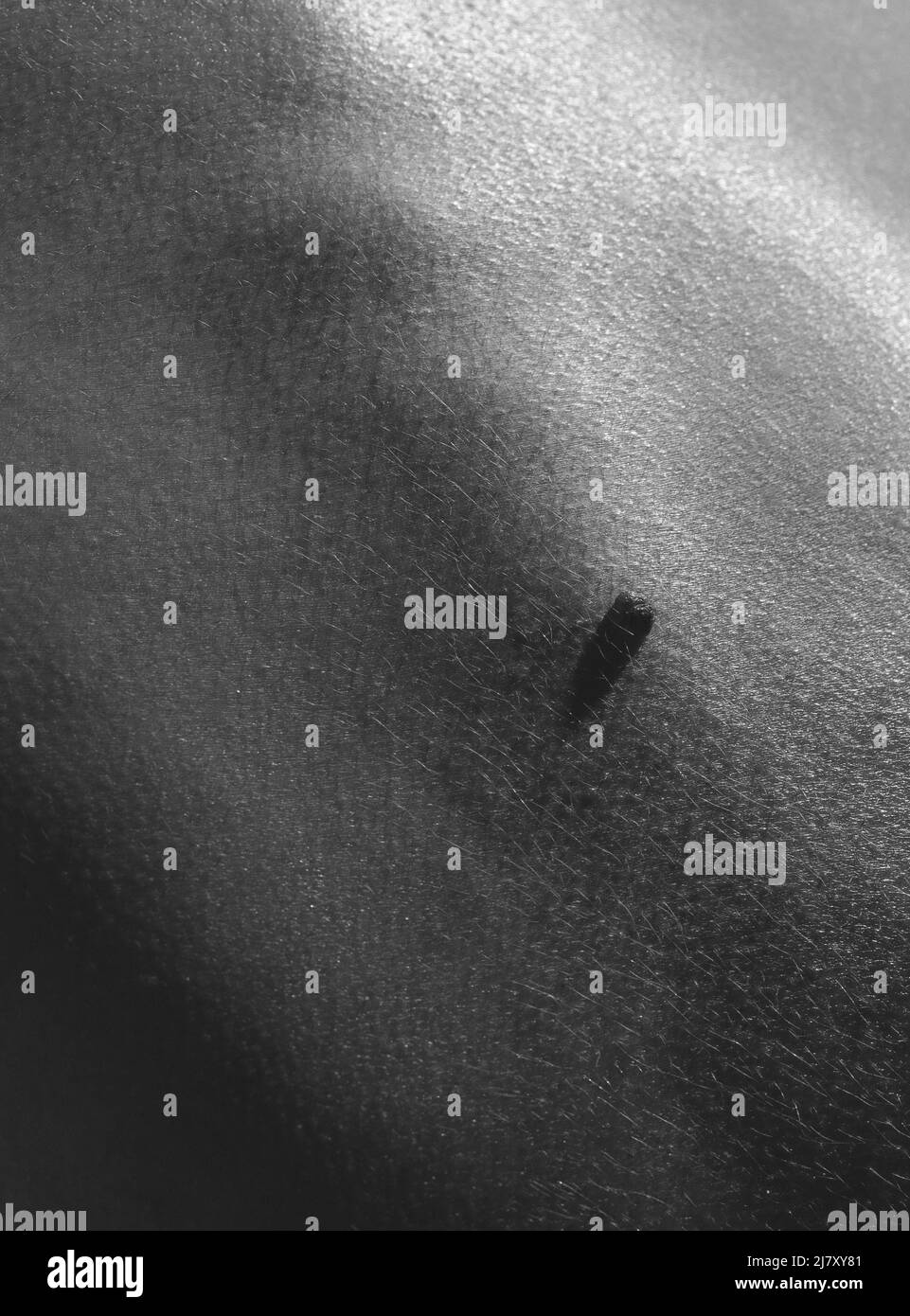 Detailed Texture Of Human Female Skin Close Up Part Of Womans Body