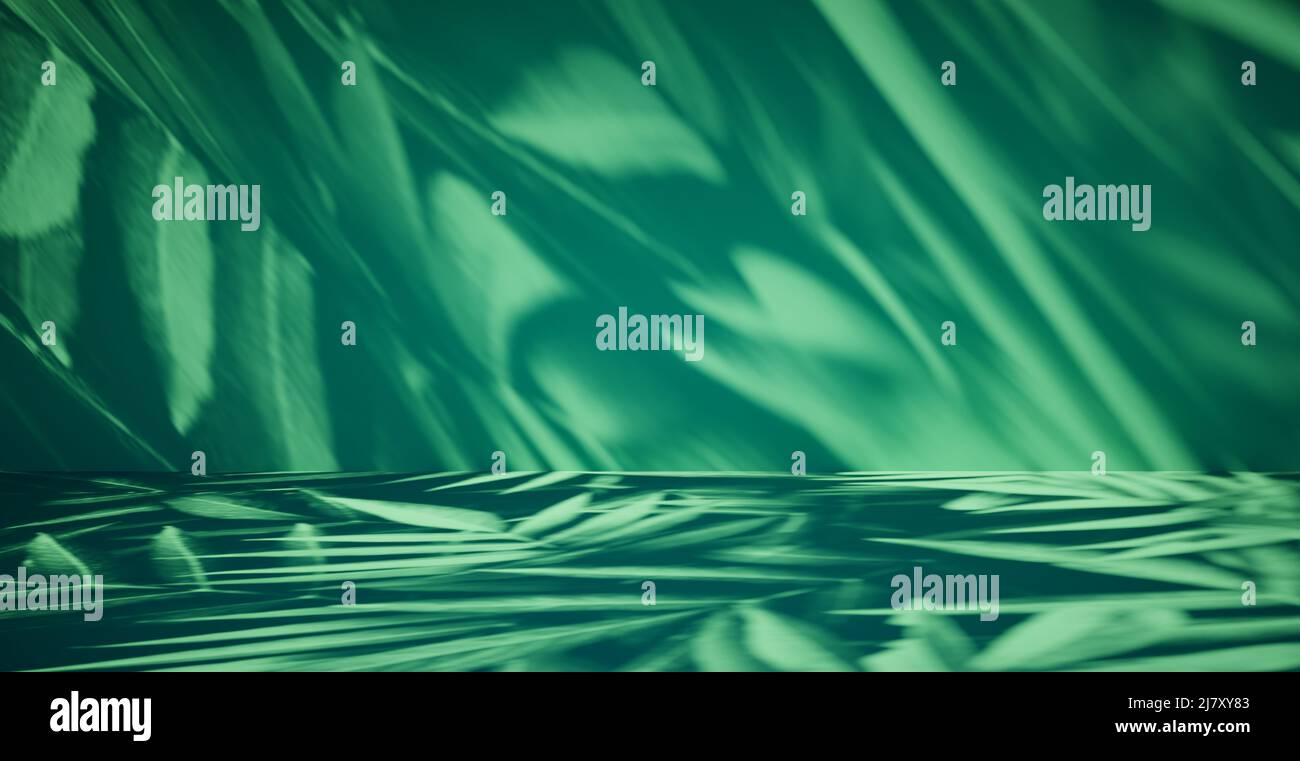 Blank colorful wall background and hard falling shadow. 3D rendering ...