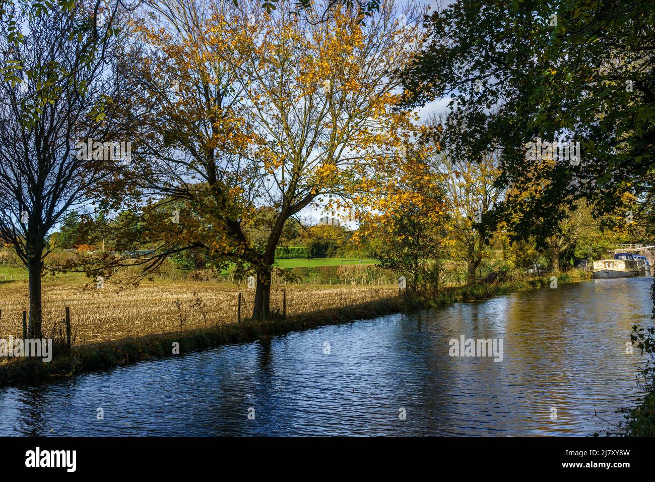 Trees lining Ripon Canal in autumn with yellow and green leaves ...
