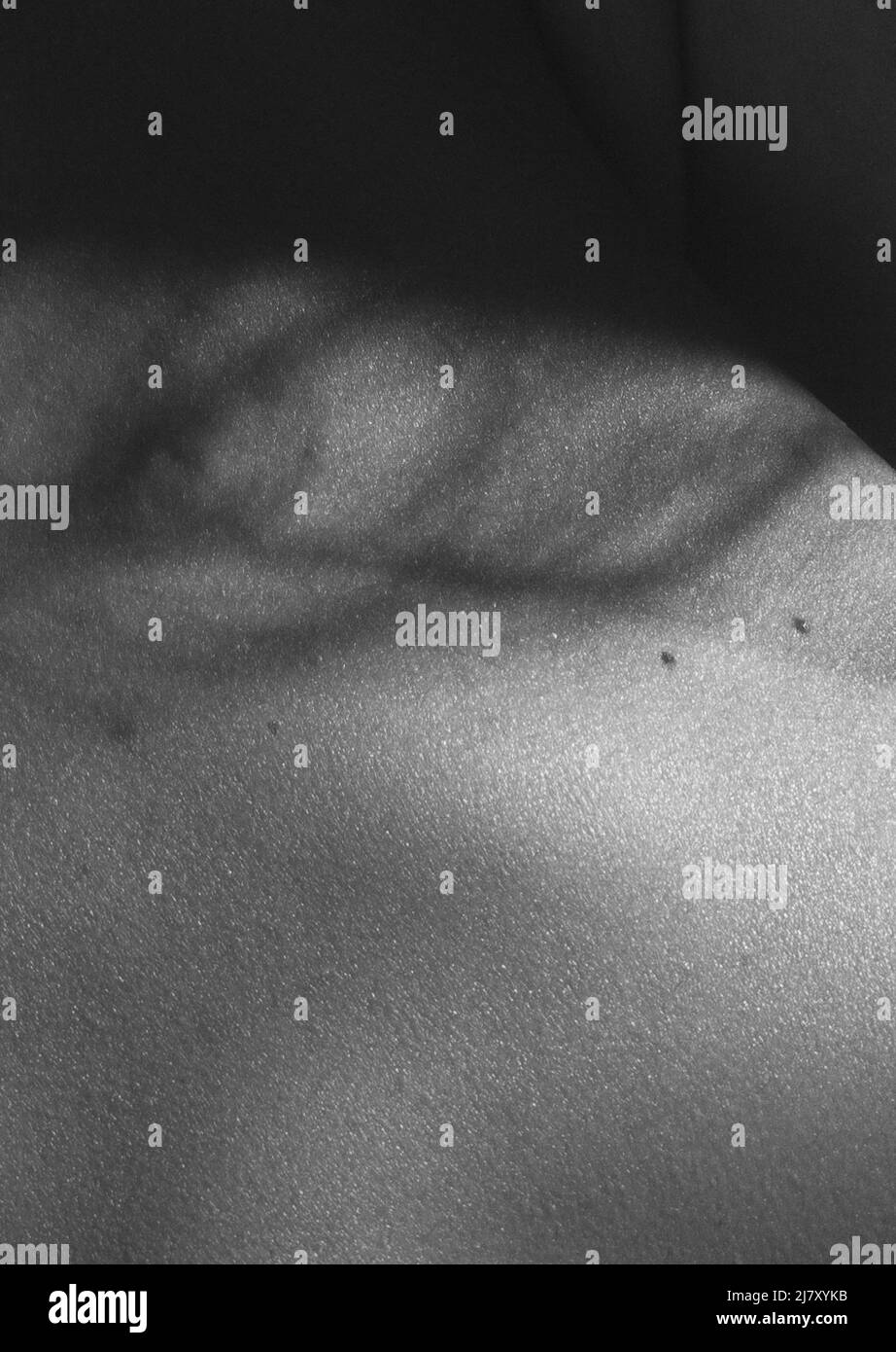 Detailed Texture Of Human Female Skin Close Up Part Of Womans Body