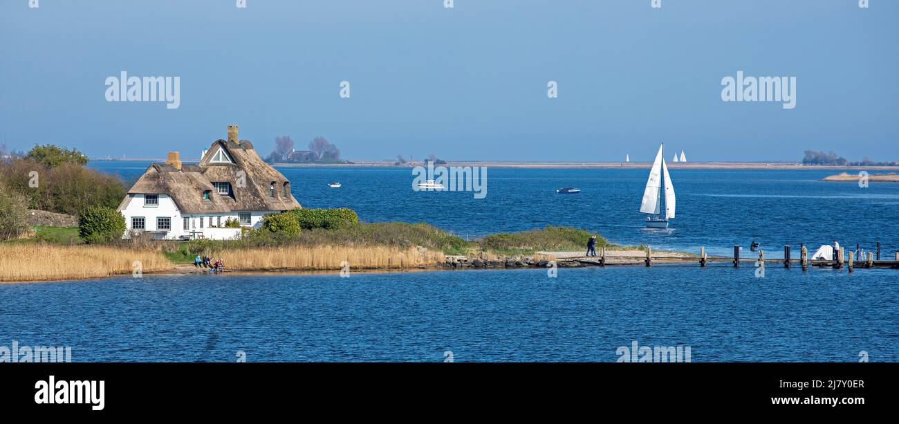 Sailing boat, Rabelsund, Rabel, Schlei, Schleswig-Holstein, Germany ...
