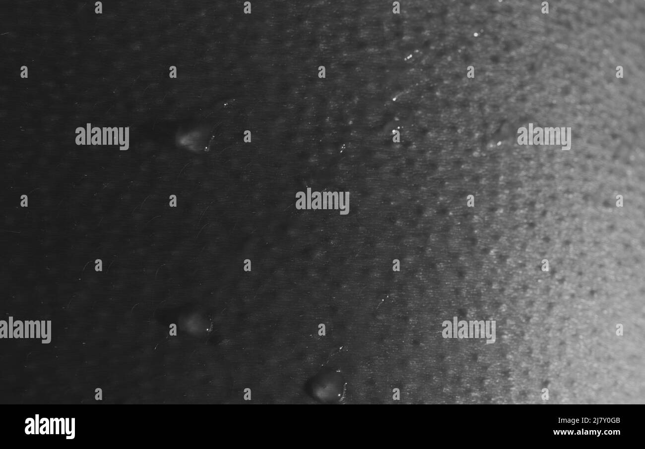 Detailed Texture Of Human Female Skin Close Up Part Of Womans Body