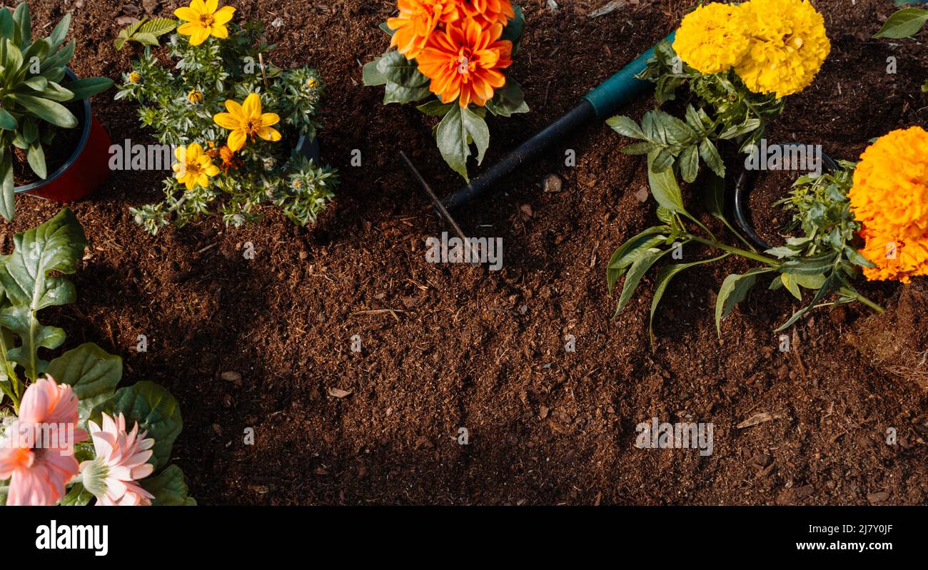 Garden scenery background. Textures. Copyspace Stock Photo - Alamy