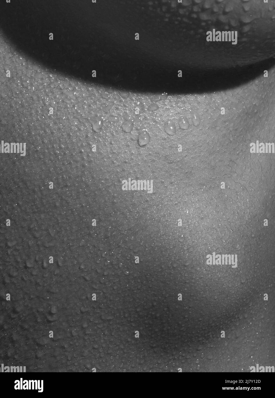 Detailed Texture Of Human Female Skin Close Up Part Of Womans Body