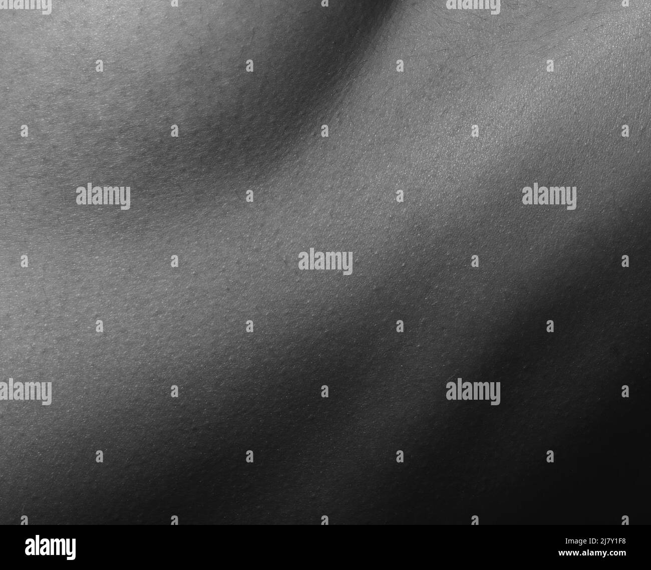Detailed Texture Of Human Female Skin Close Up Part Of Womans Body