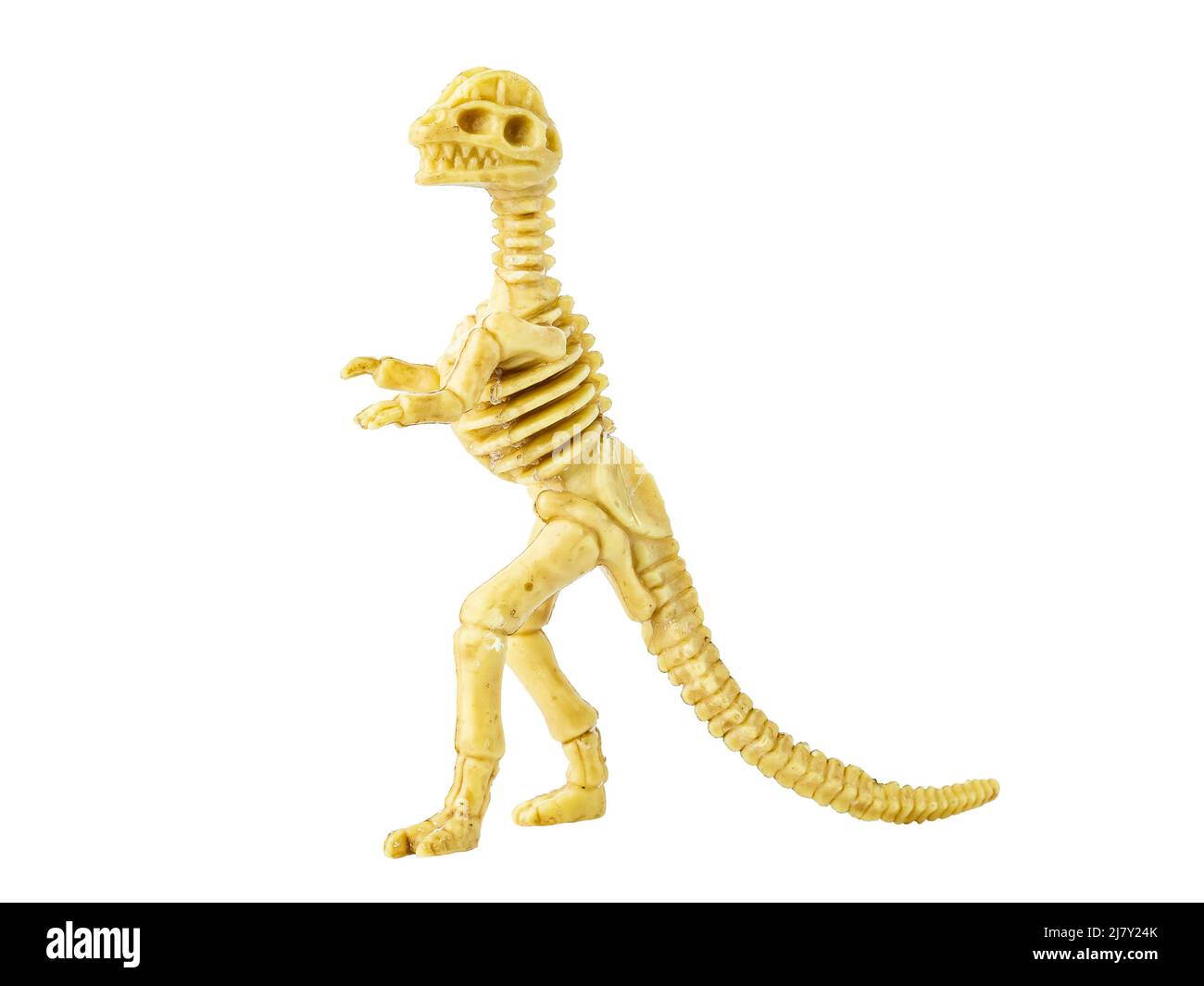 Baby Dinosaur skeleton plastic model toy isolated on white Stock Photo ...