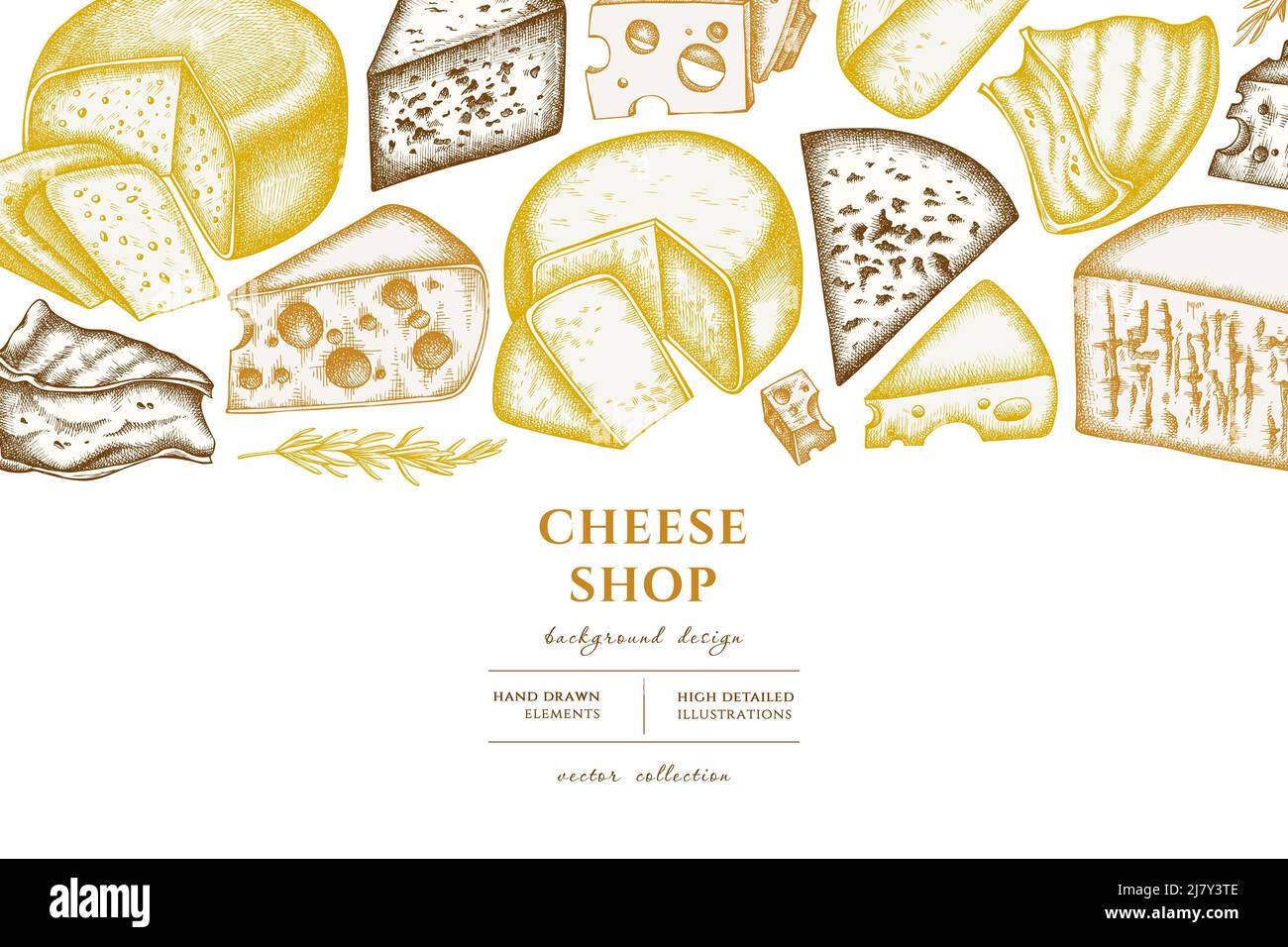 Cheese hand drawn illustration design. Background with vintage brie ...