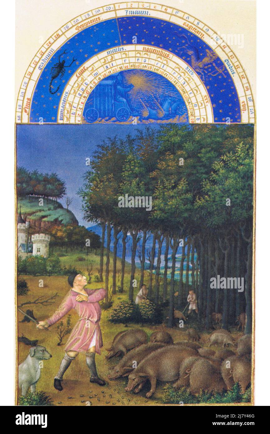 Le Tres riches heures du Duc de Berry - November Stock Photo - Alamy