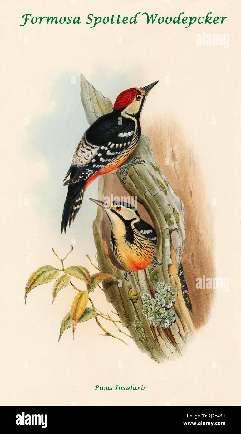 Formosa army hi-res stock photography and images - Alamy