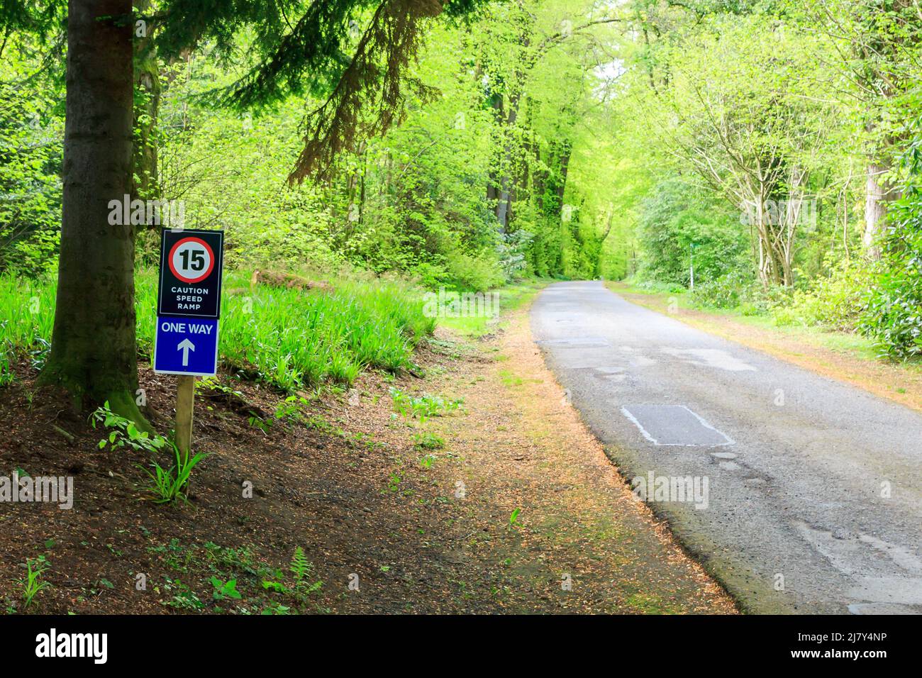 Caution speed ramp and one way road sign Stock Photo - Alamy