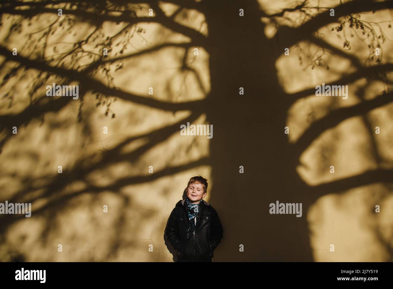 Boy in Big Tree Shadow on Wall Stock Photo - Alamy