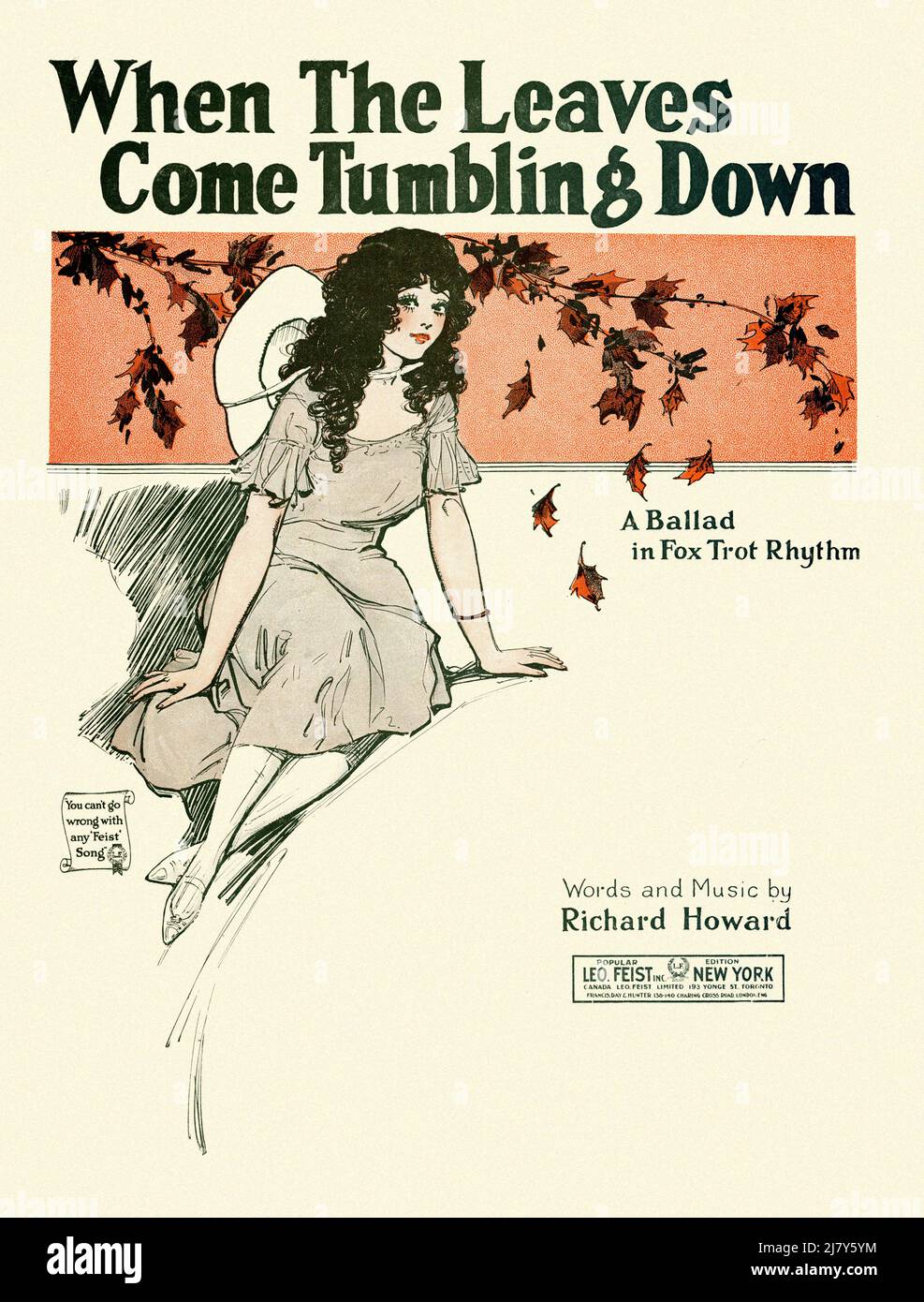 When the Leaves Come Tumbling Down Stock Photo - Alamy