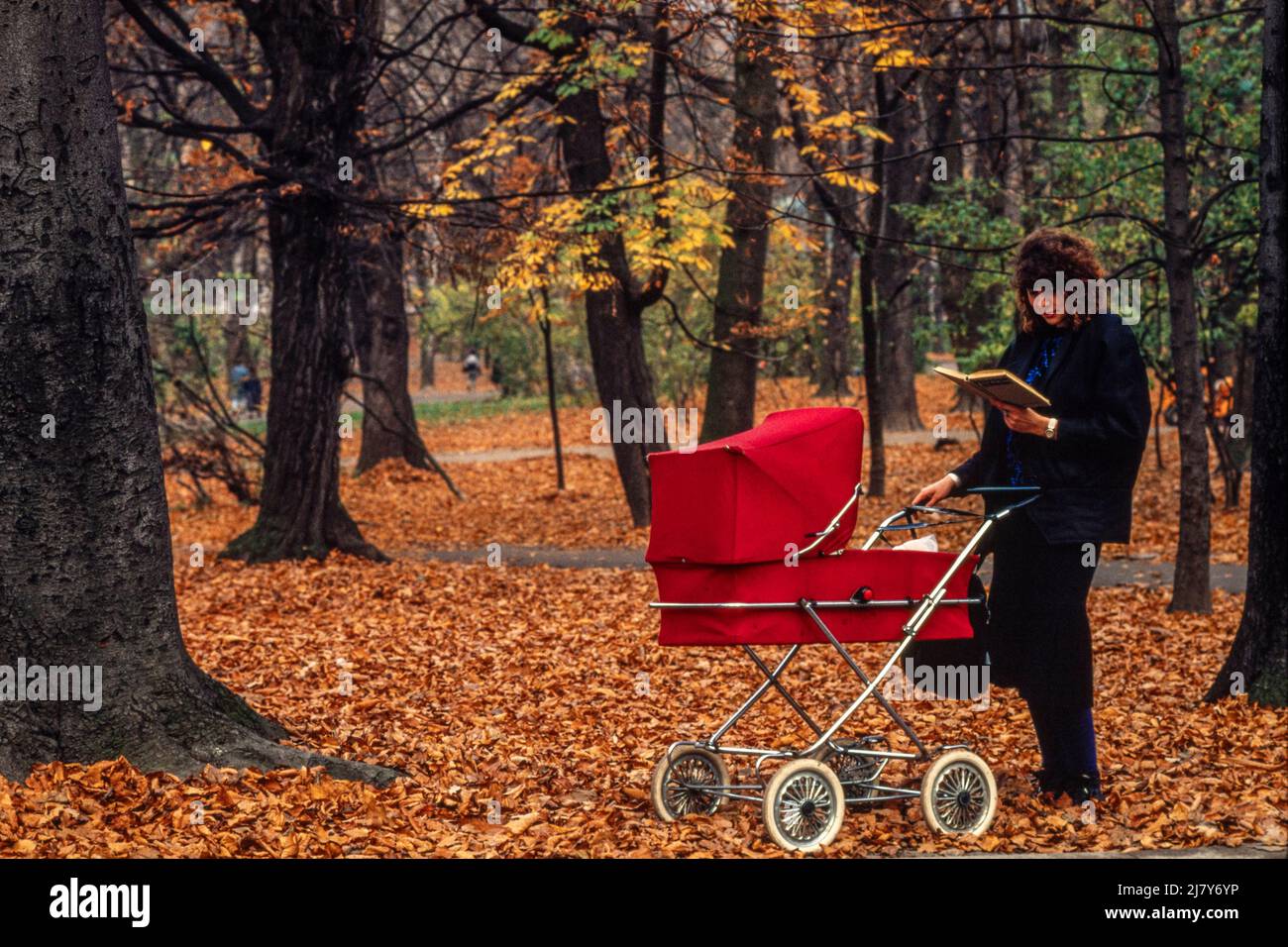 A young mother reads while minding her baby in a park in central Lviv ...