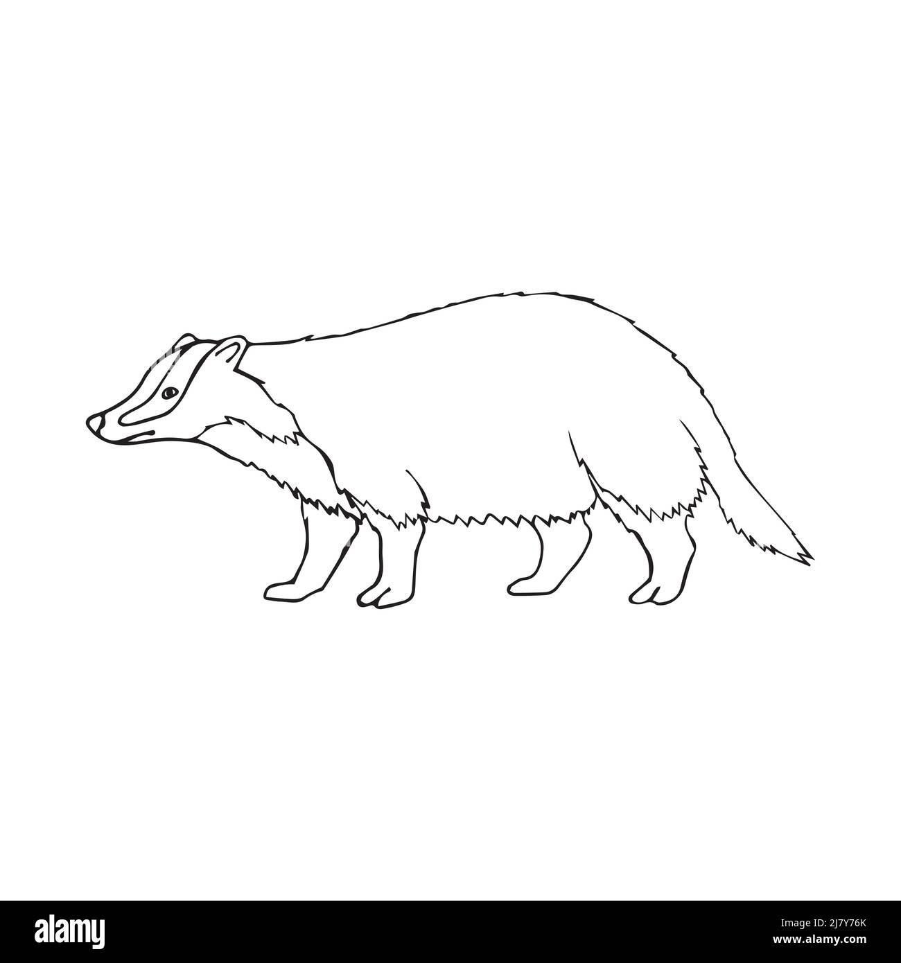 Hufflepuff Badger Outline