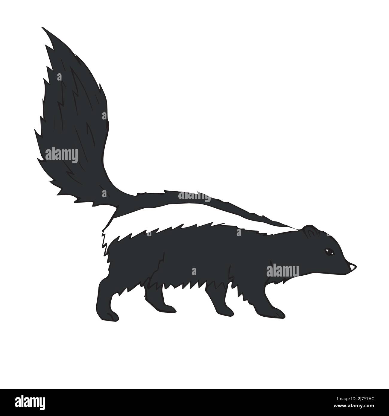 Vector hand drawn doodle sketch colored skunk isolated on white ...