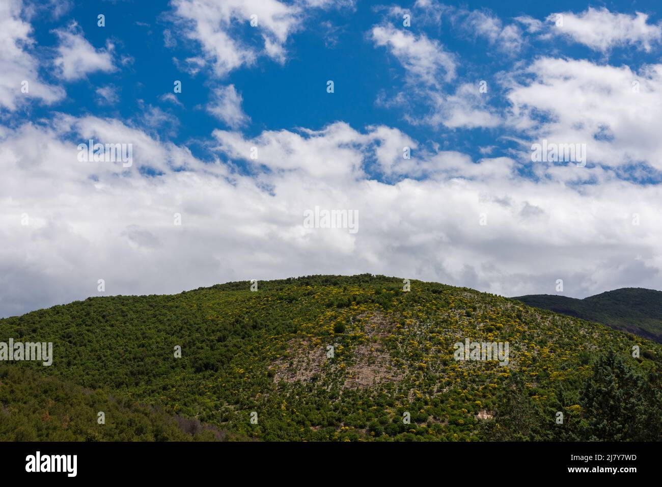 Mignano hi-res stock photography and images - Alamy