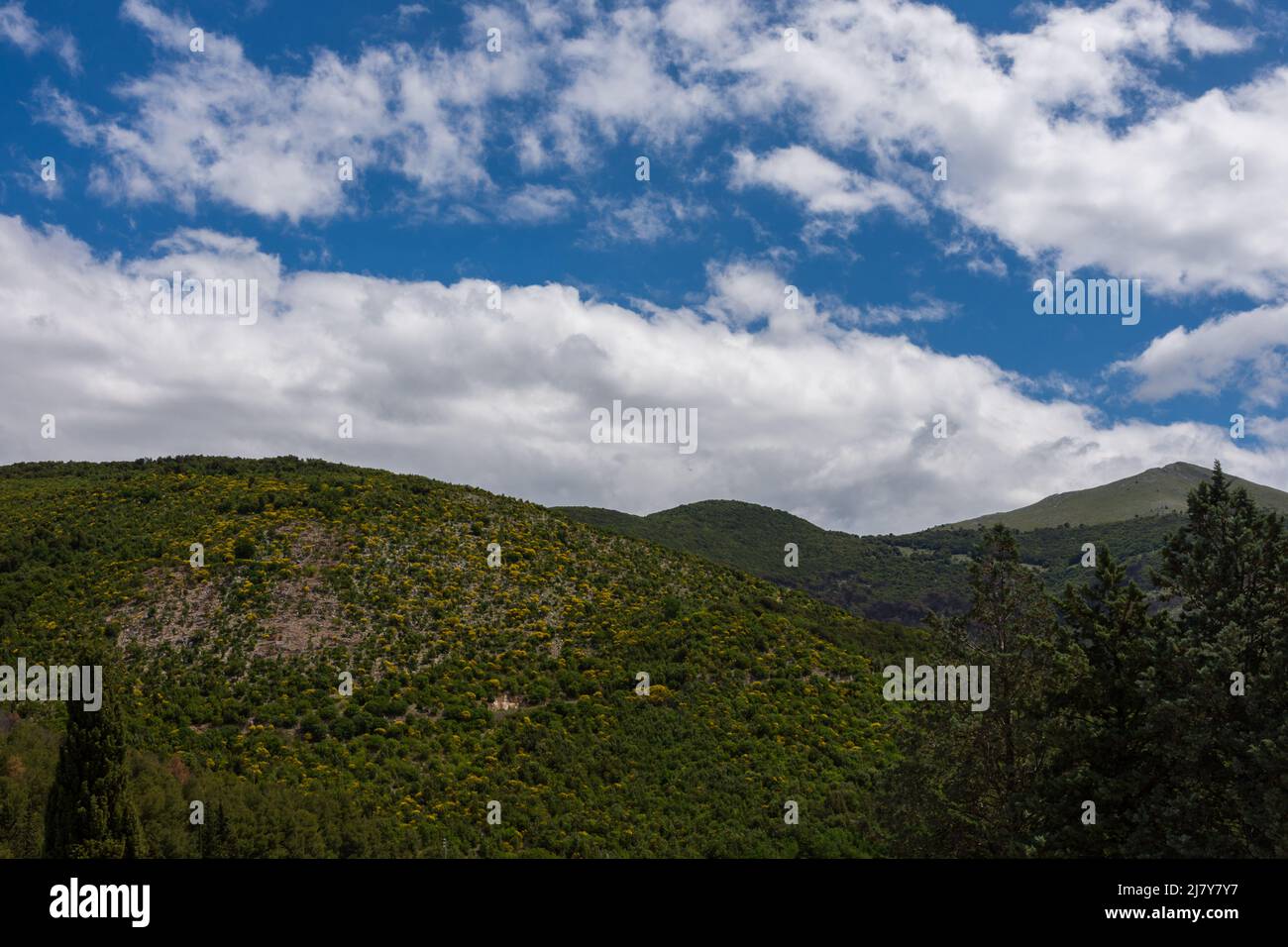 Mignano hi-res stock photography and images - Alamy