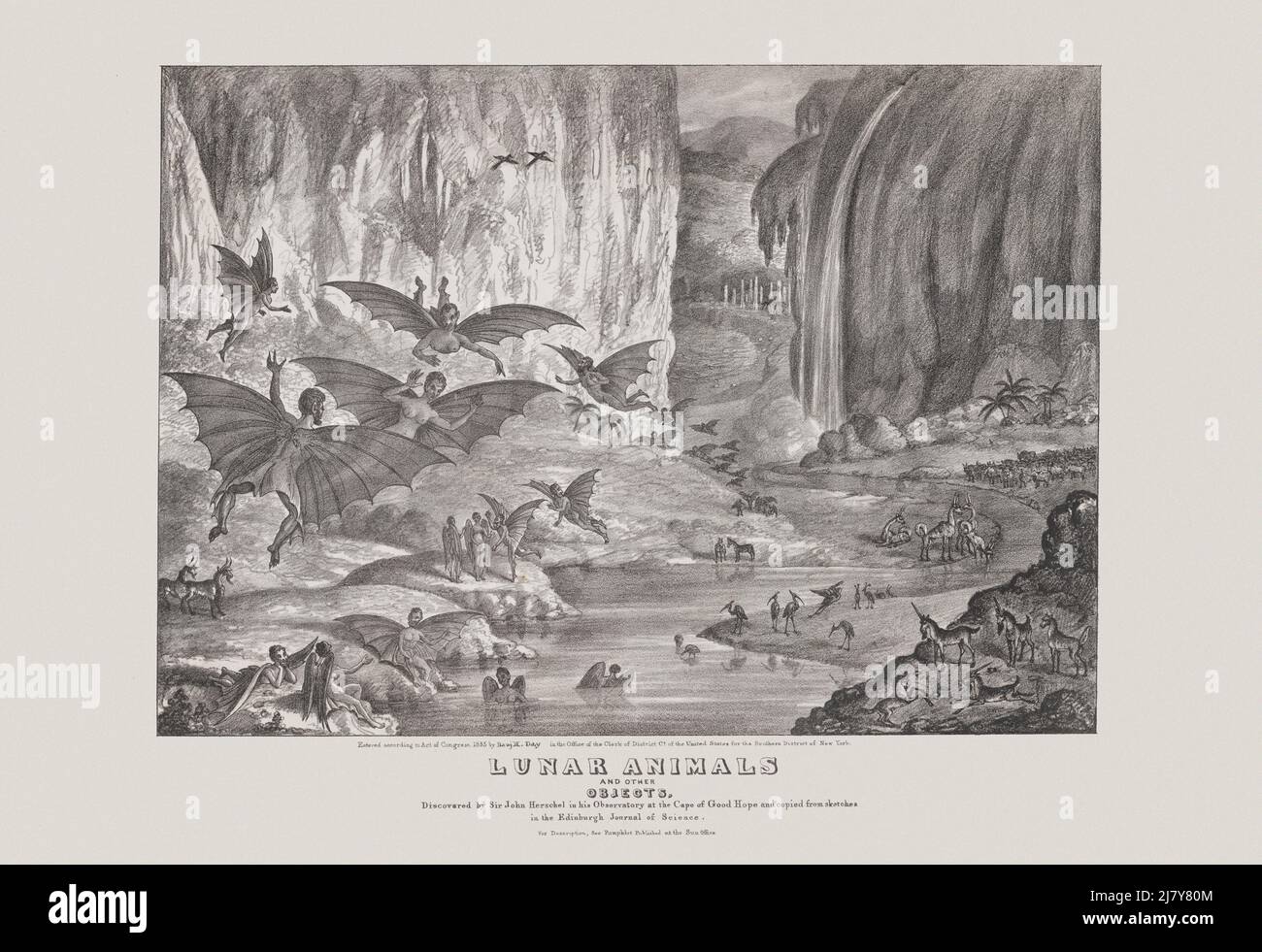 Hero animals hi-res stock photography and images - Alamy