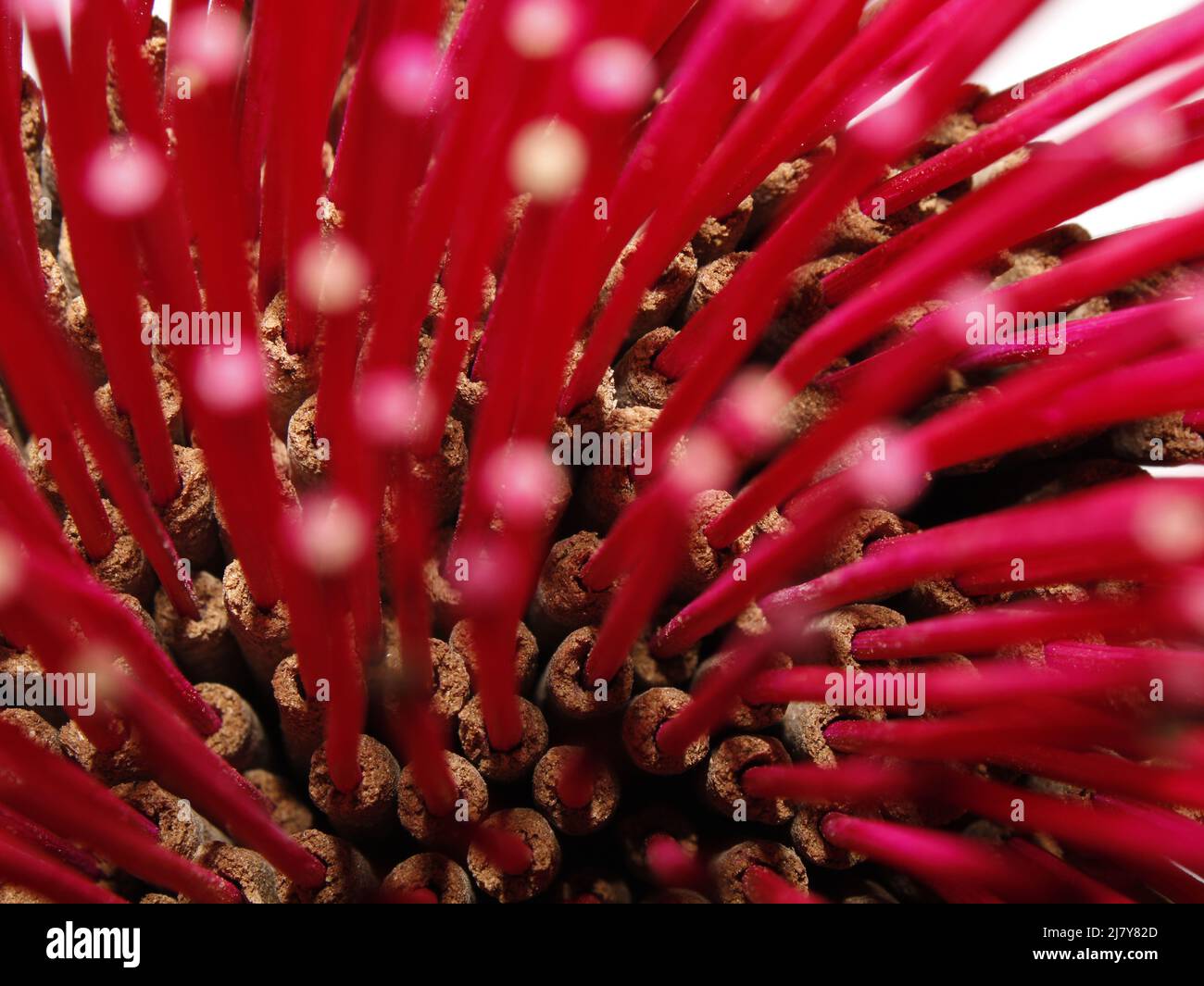 Colourful insence sticks background Stock Photo - Alamy