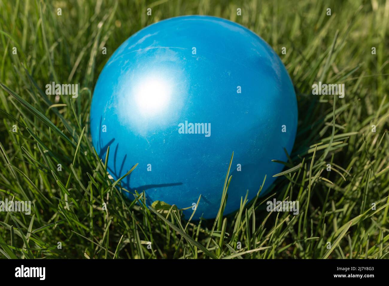 blue ball in green grass Stock Photo - Alamy
