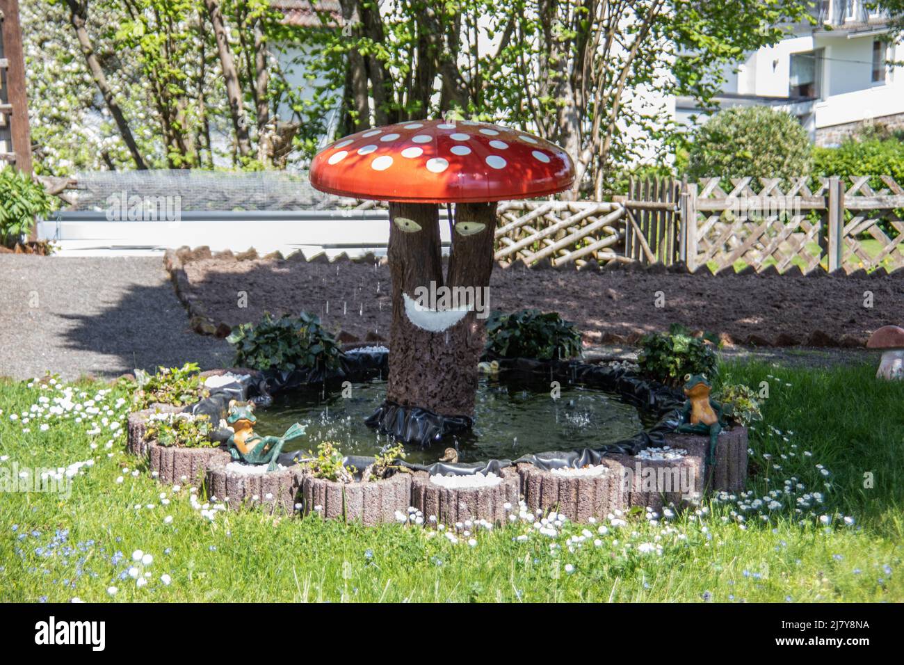 colorfül fly pile with frogs and plash water in the garden Stock Photo ...
