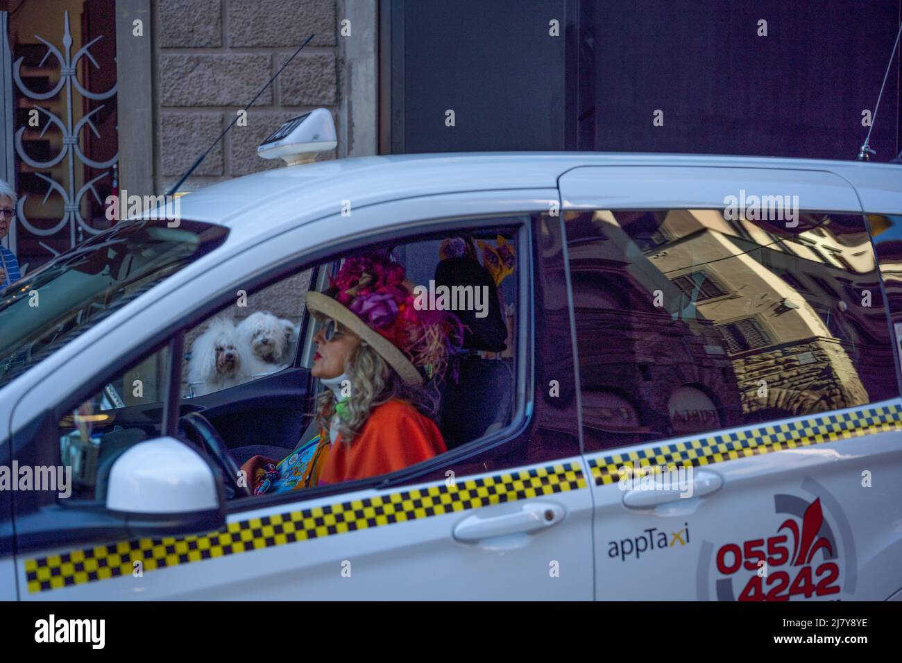 Female taxi driver in unusual dress in Florence Stock Photo - Alamy