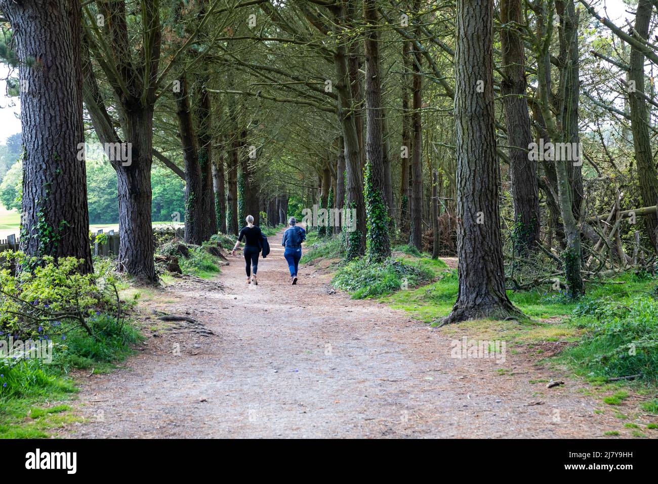 Tehidy,Tehidy Country Park,11th May 2022,People out for a walk in ...